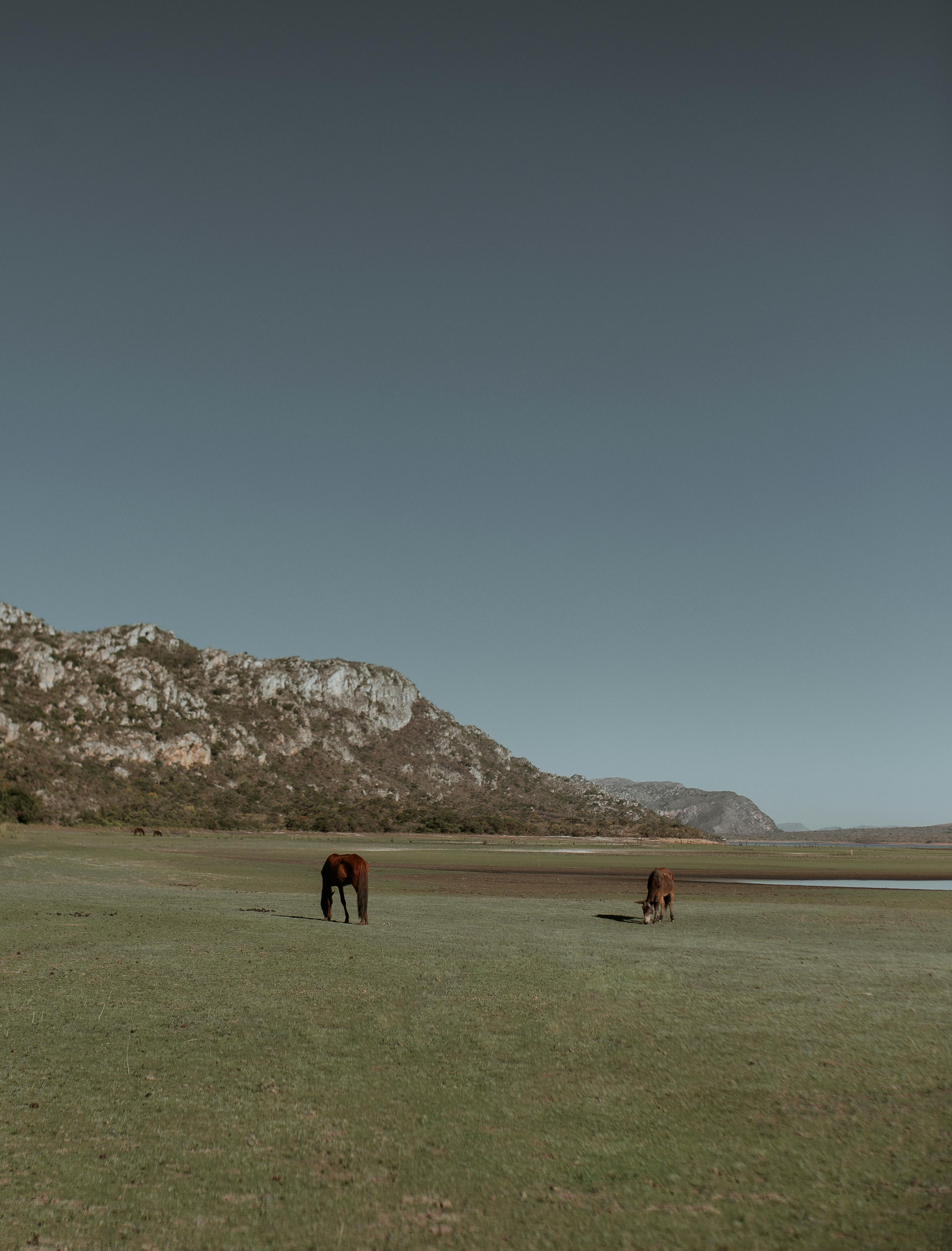 Gender Landscape Photos, Download The BEST Free Gender Landscape Stock ...