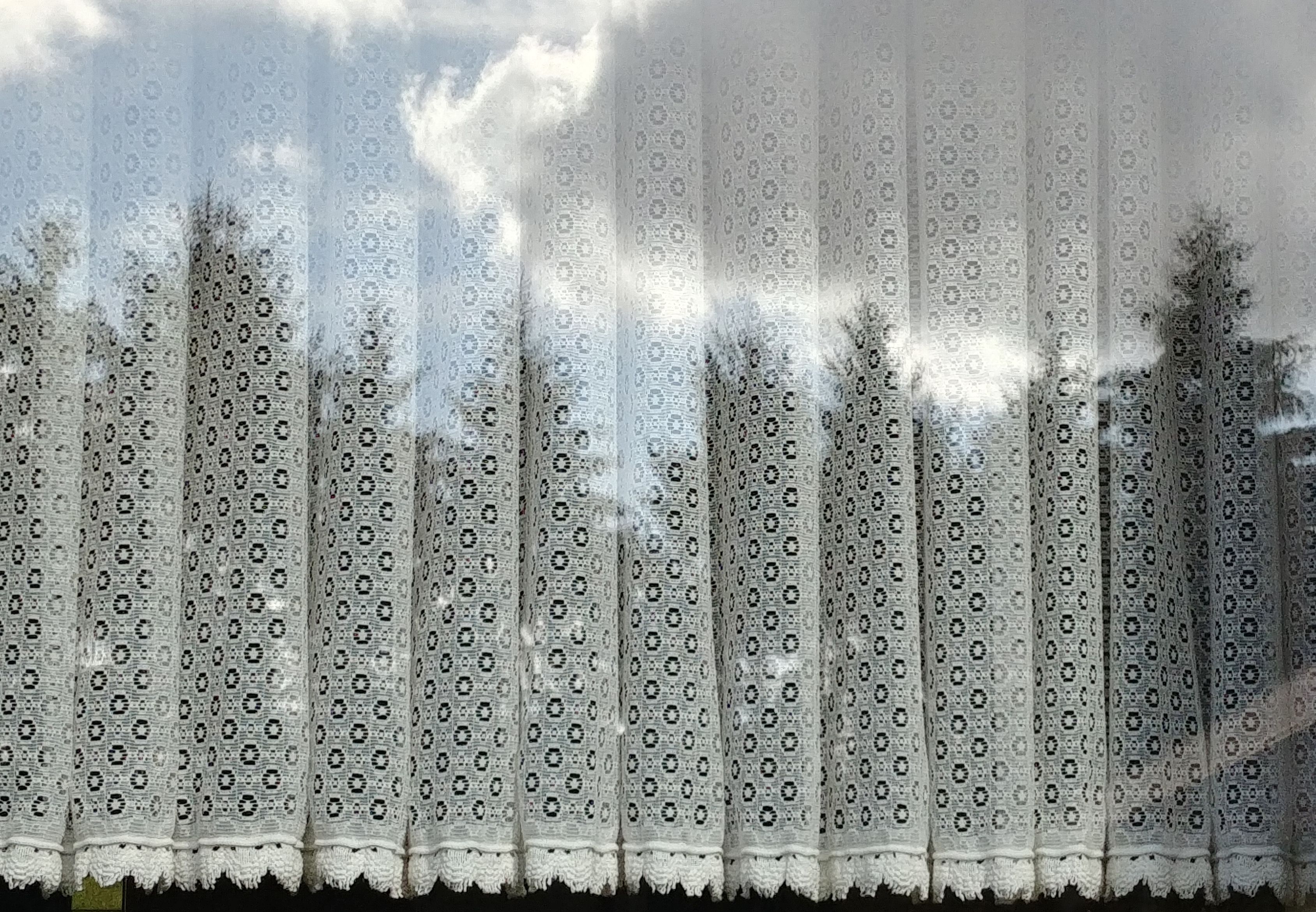 Tree Mirroring in Window with Curtain · Free Stock Photo
