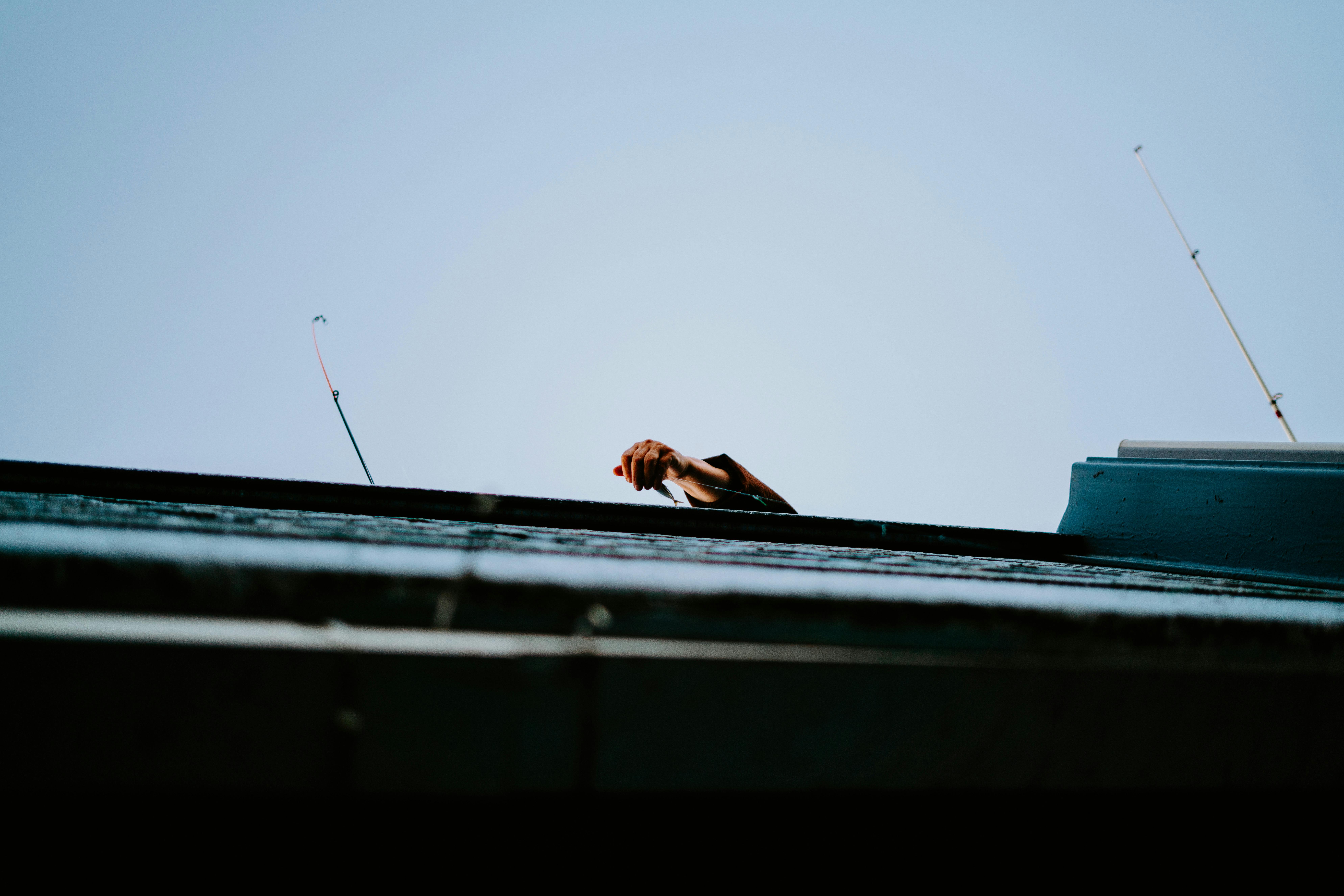 Fish in Angler Hand · Free Stock Photo