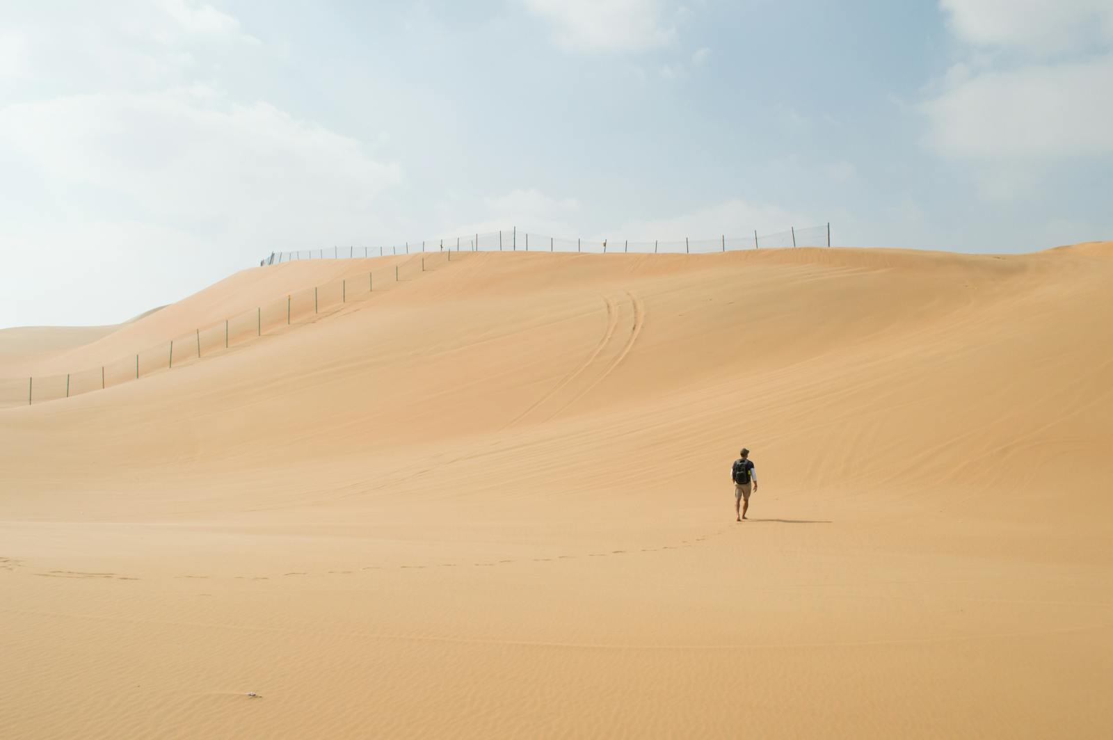 Desertification Photos, Download The BEST Free Desertification Stock ...