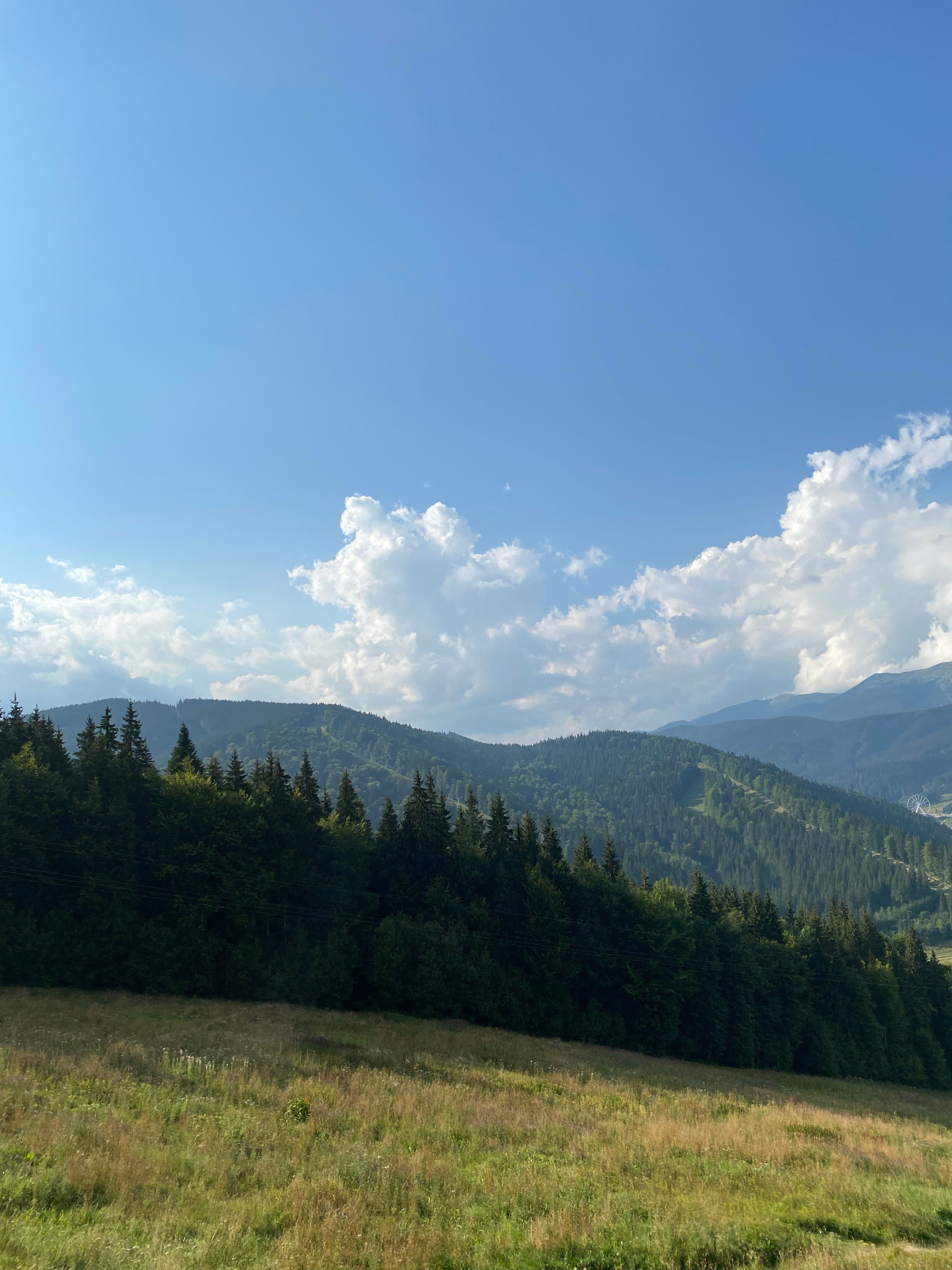 Forest on Hills in Autumn at Sunset · Free Stock Photo