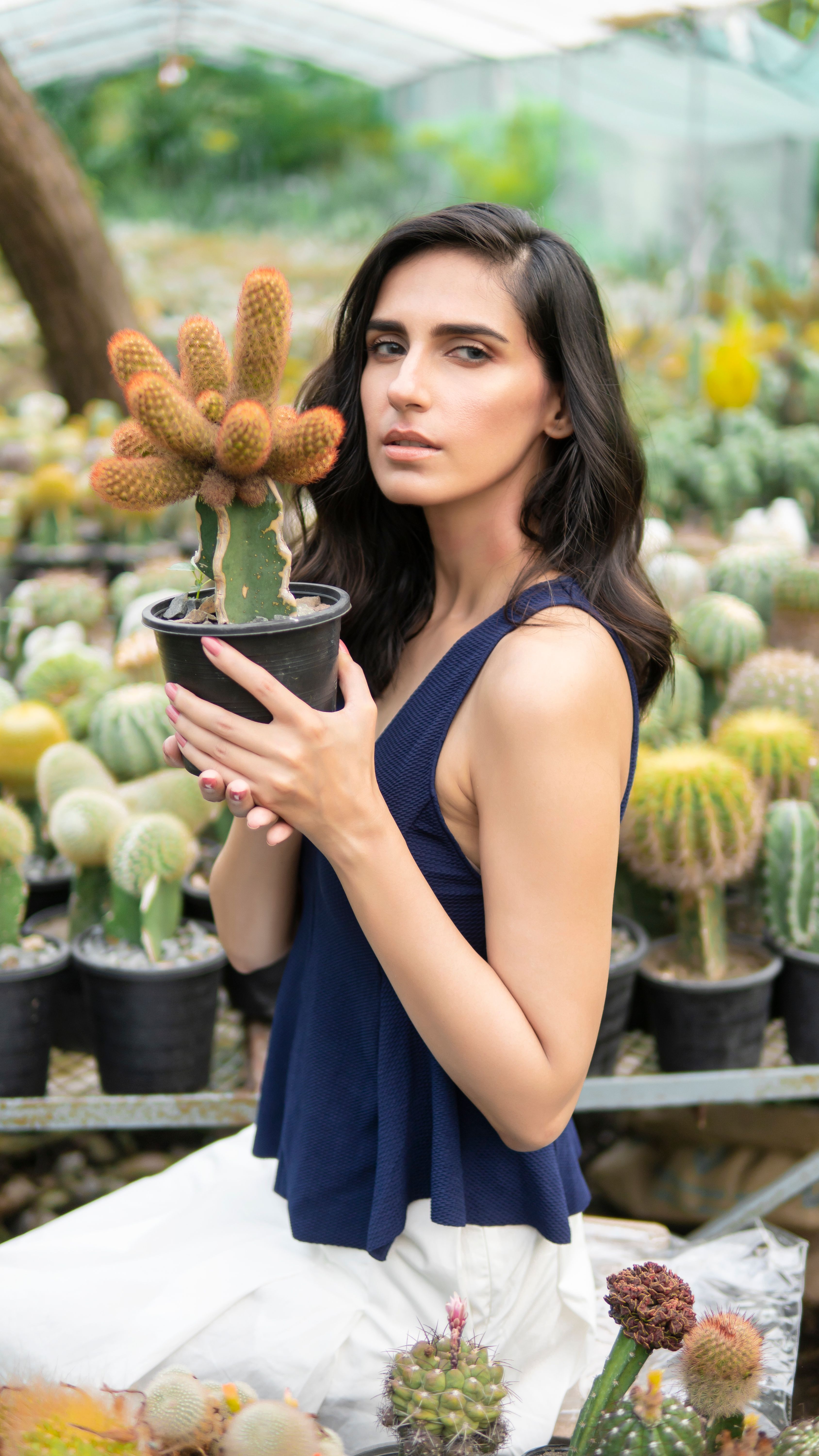 Brunette Woman Sitting with Cactus Plant · Free Stock Photo