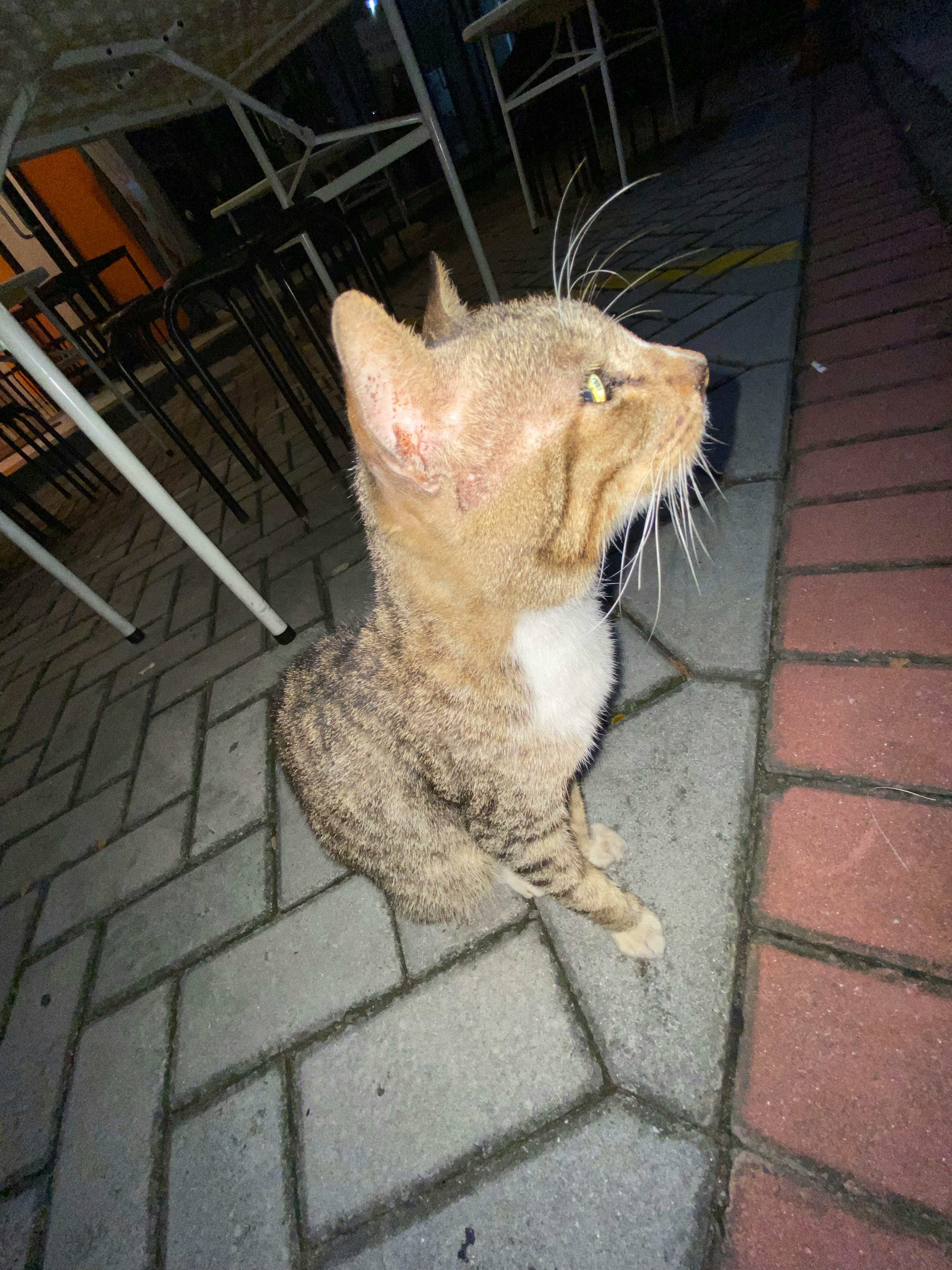 Matthew Gregory - Photography