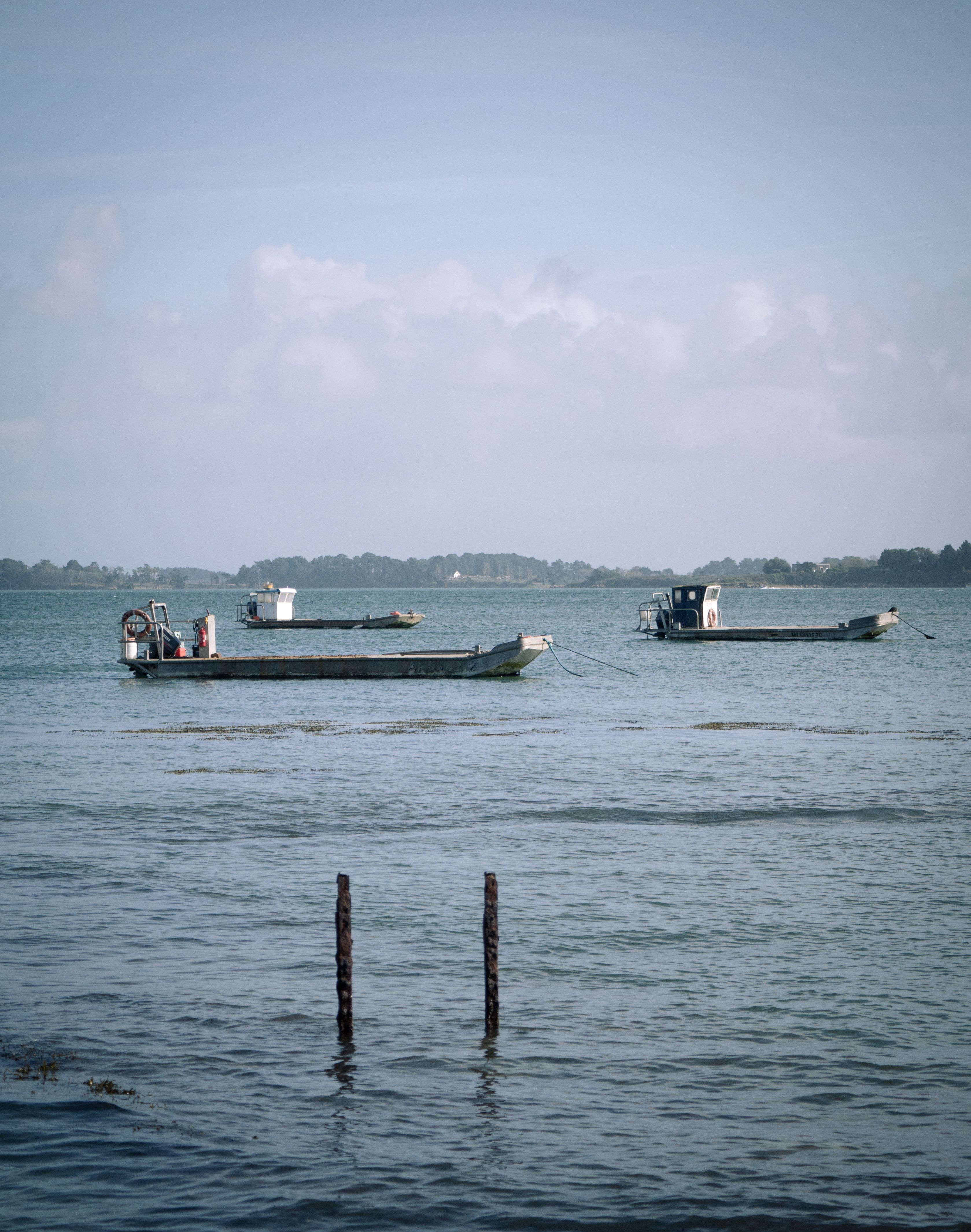 Barges in River · Free Stock Photo