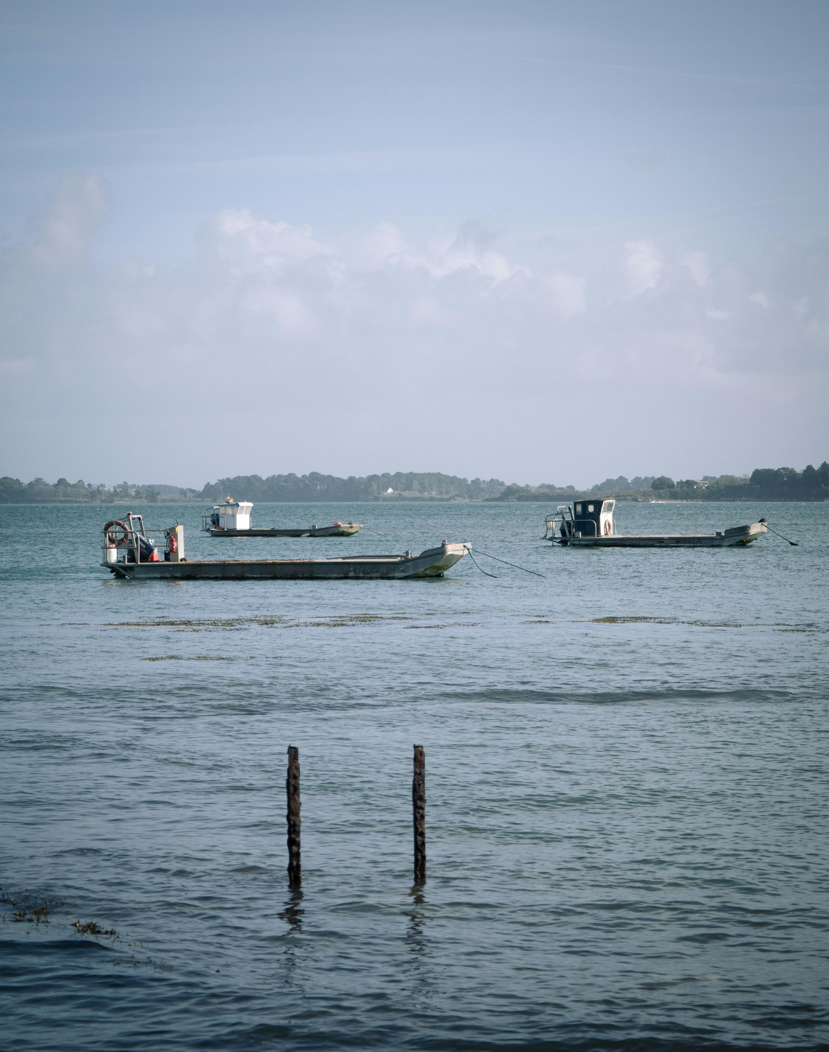 Barges Photos, Download The BEST Free Barges Stock Photos & HD Images