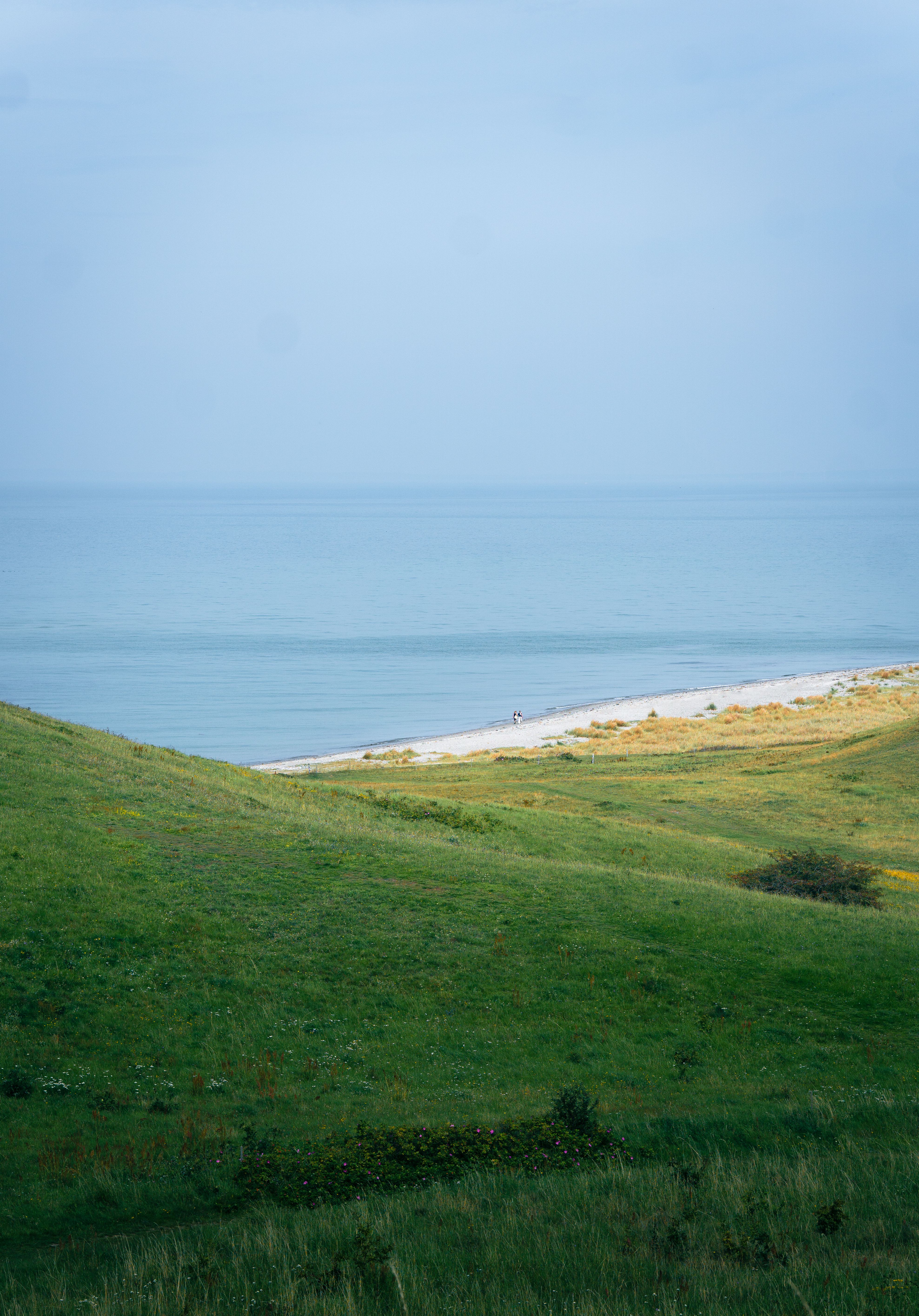 Tranquil Scene: Horizon over Water and Calm Reflection · Free Stock Photo