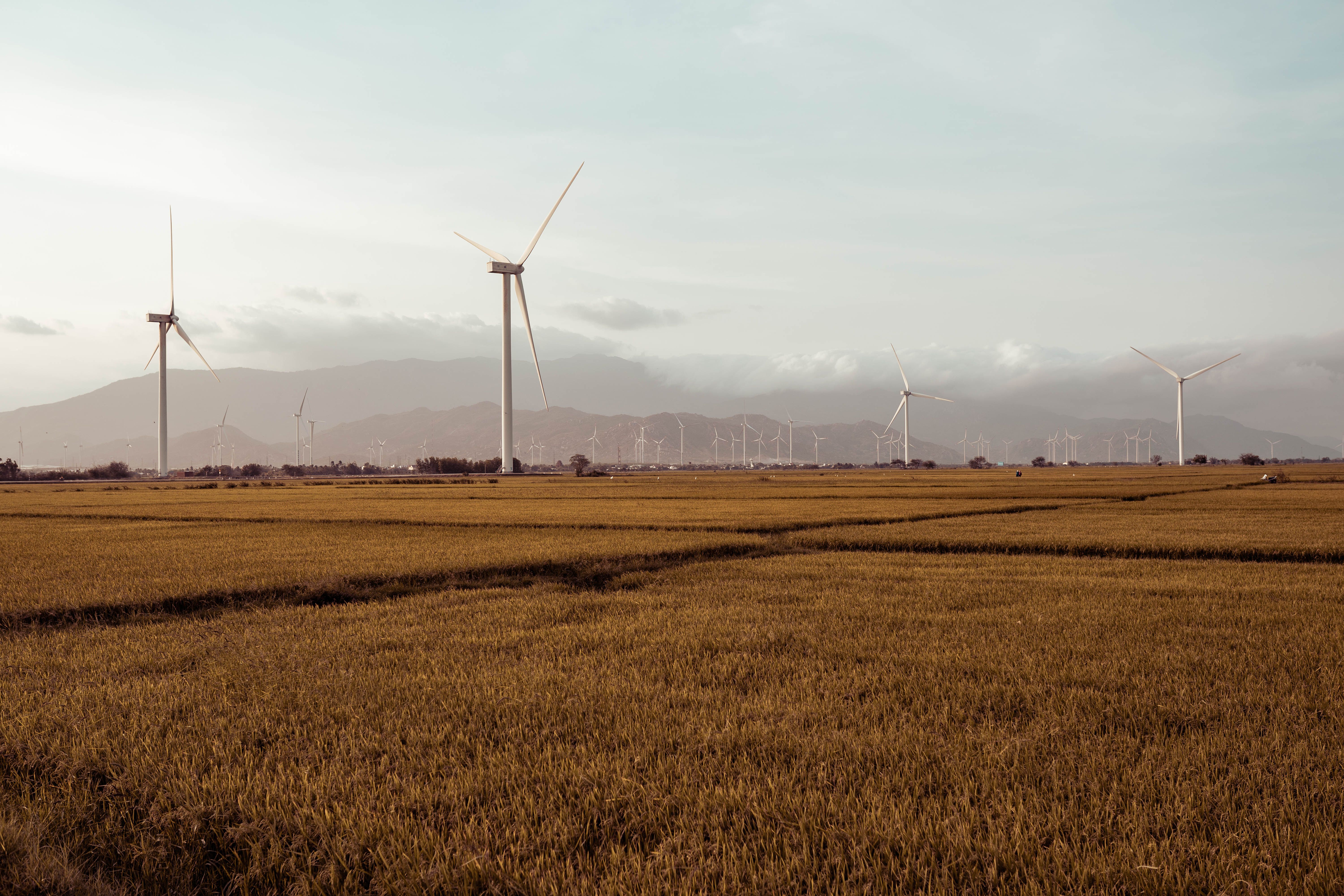 Rural Landscape with a Wind Farm · Free Stock Photo