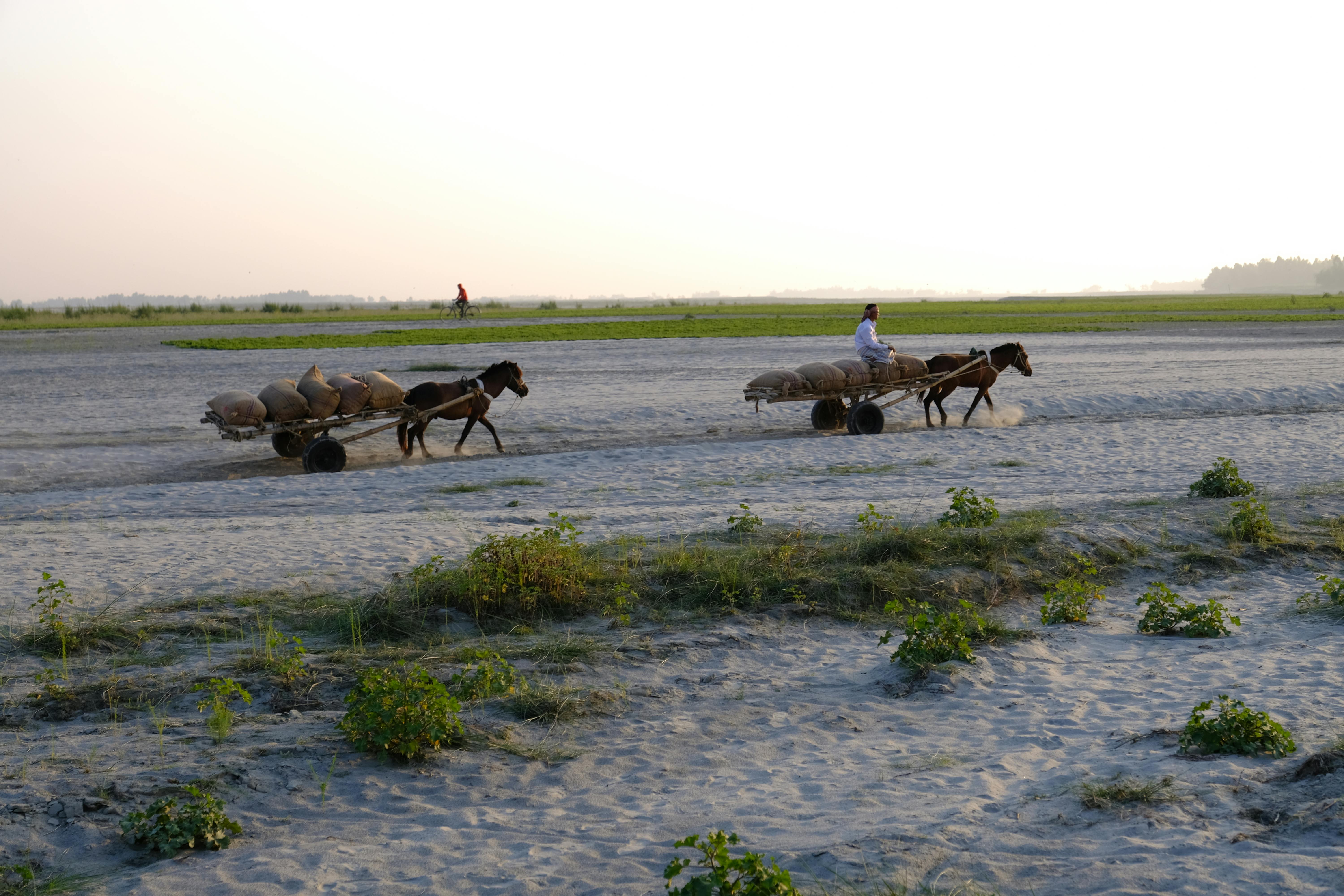 Wide Load Photos, Download The BEST Free Wide Load Stock Photos & HD Images