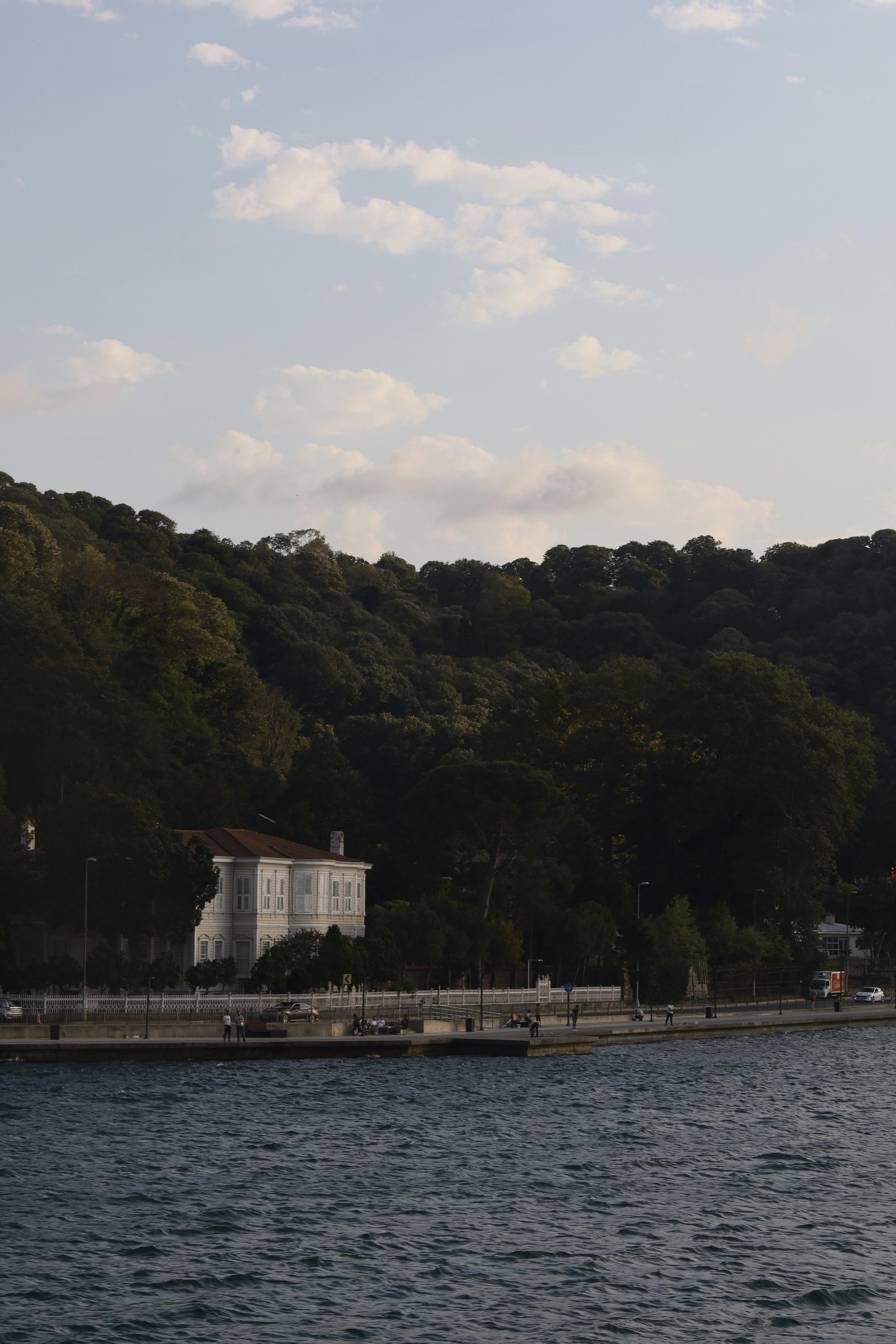 Yali Capkini Photos, Download The BEST Free Yali Capkini Stock Photos ...