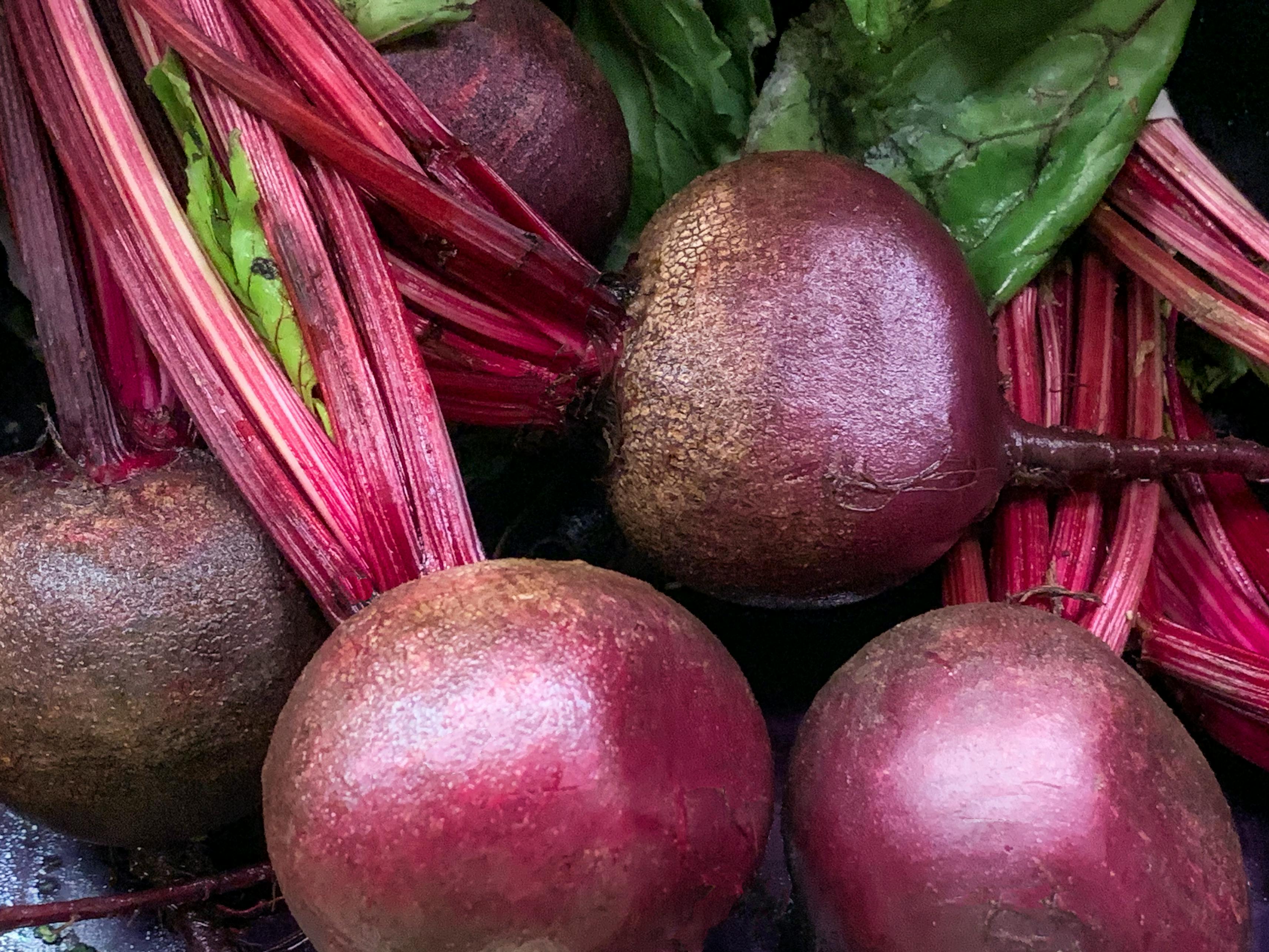 Leslie Saunders - 摄影