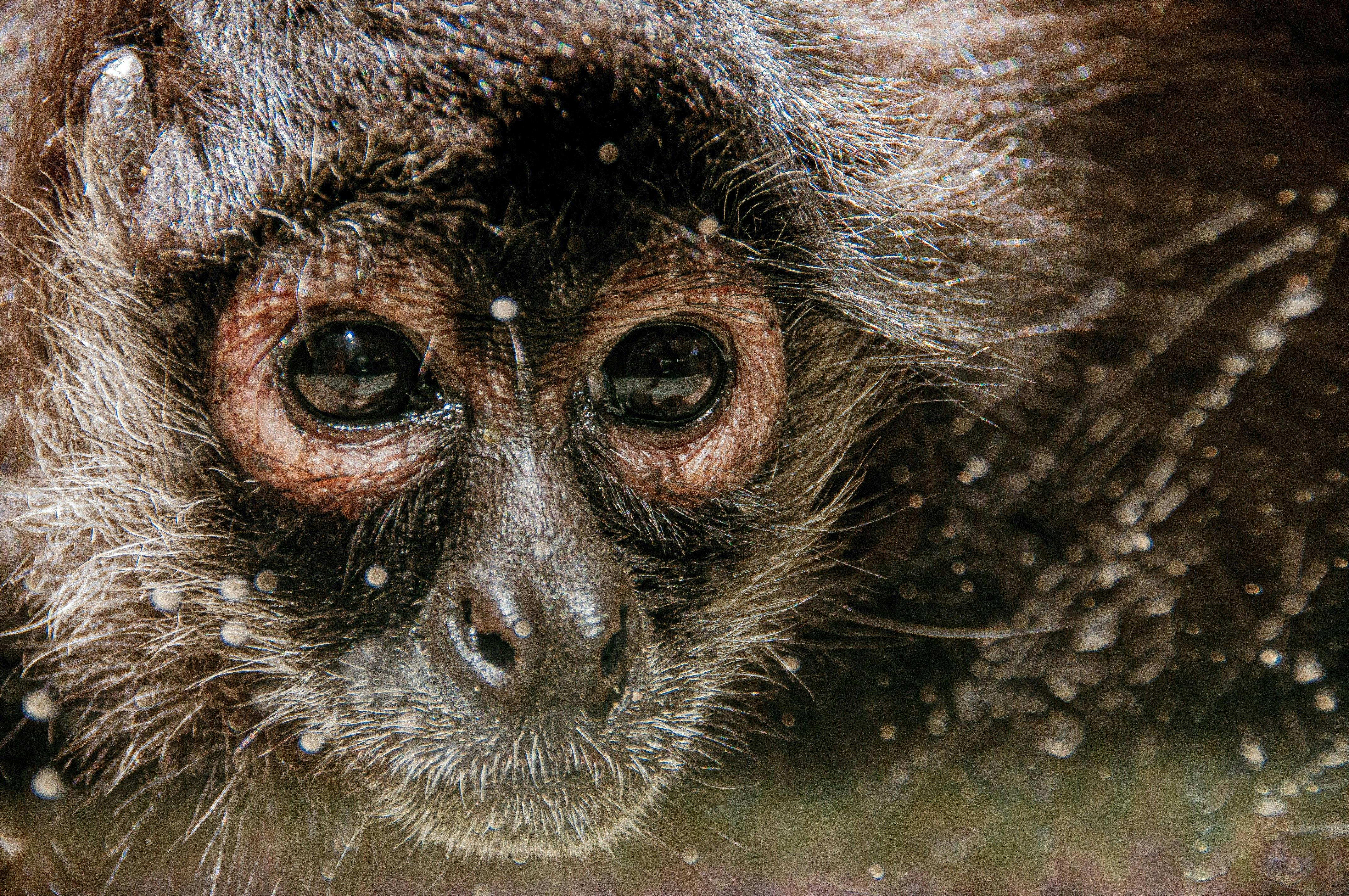 Glimpse Photos, Download The BEST Free Glimpse Stock Photos & HD Images