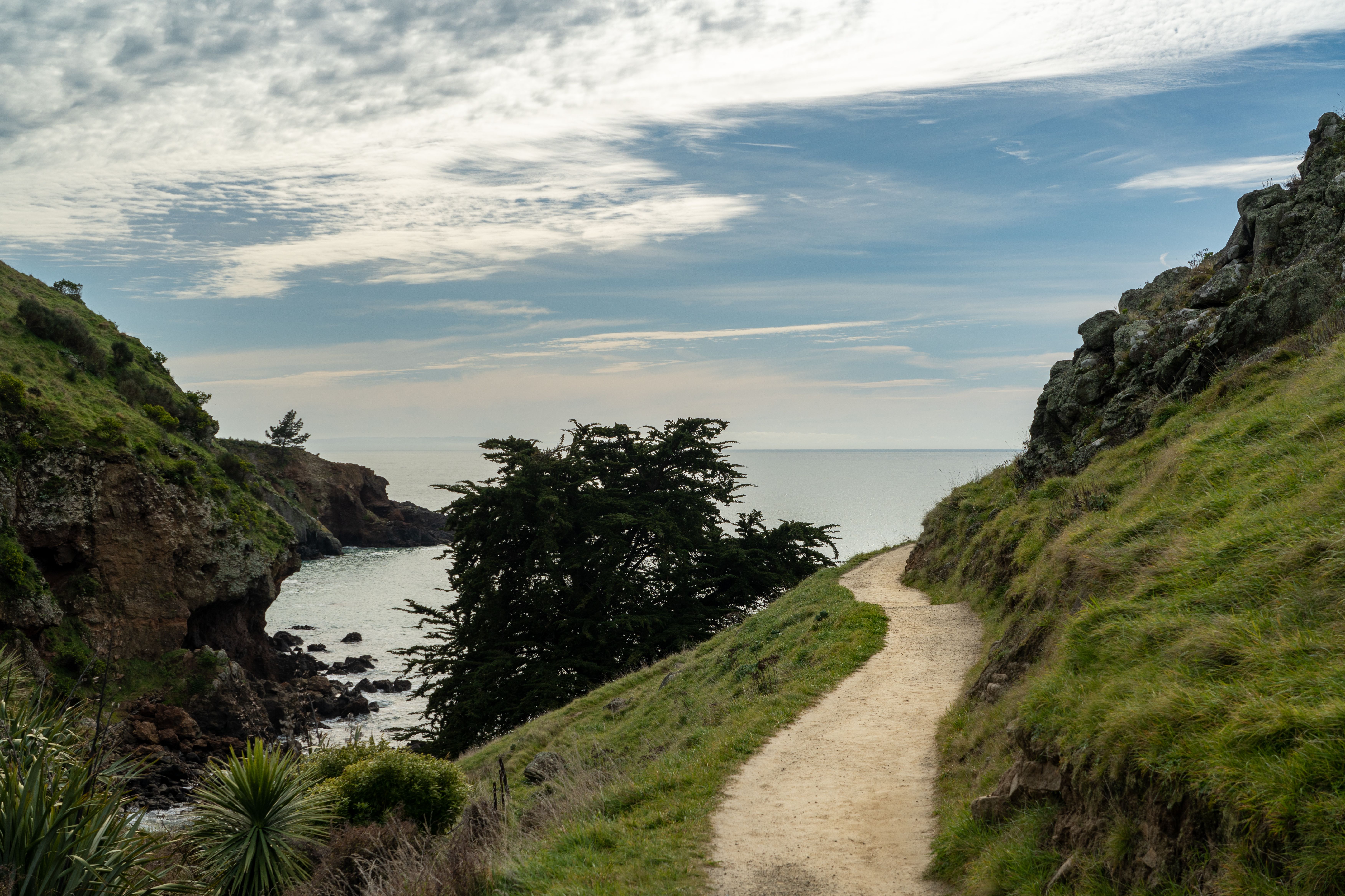 A Trail on the Side of a Cliff · Free Stock Photo