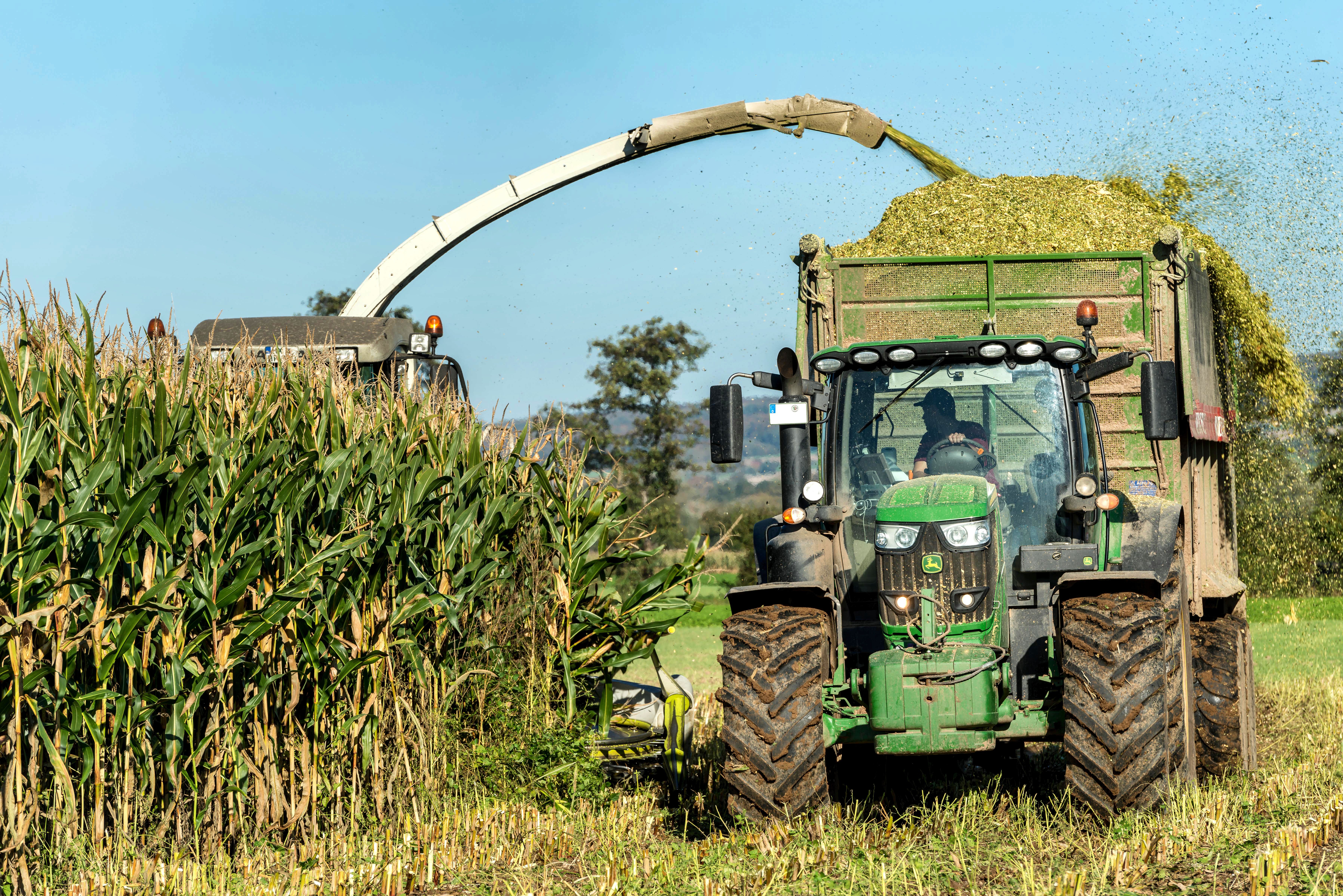 View of Machinery on a Cropland Harvesting Corn · Free Stock Photo