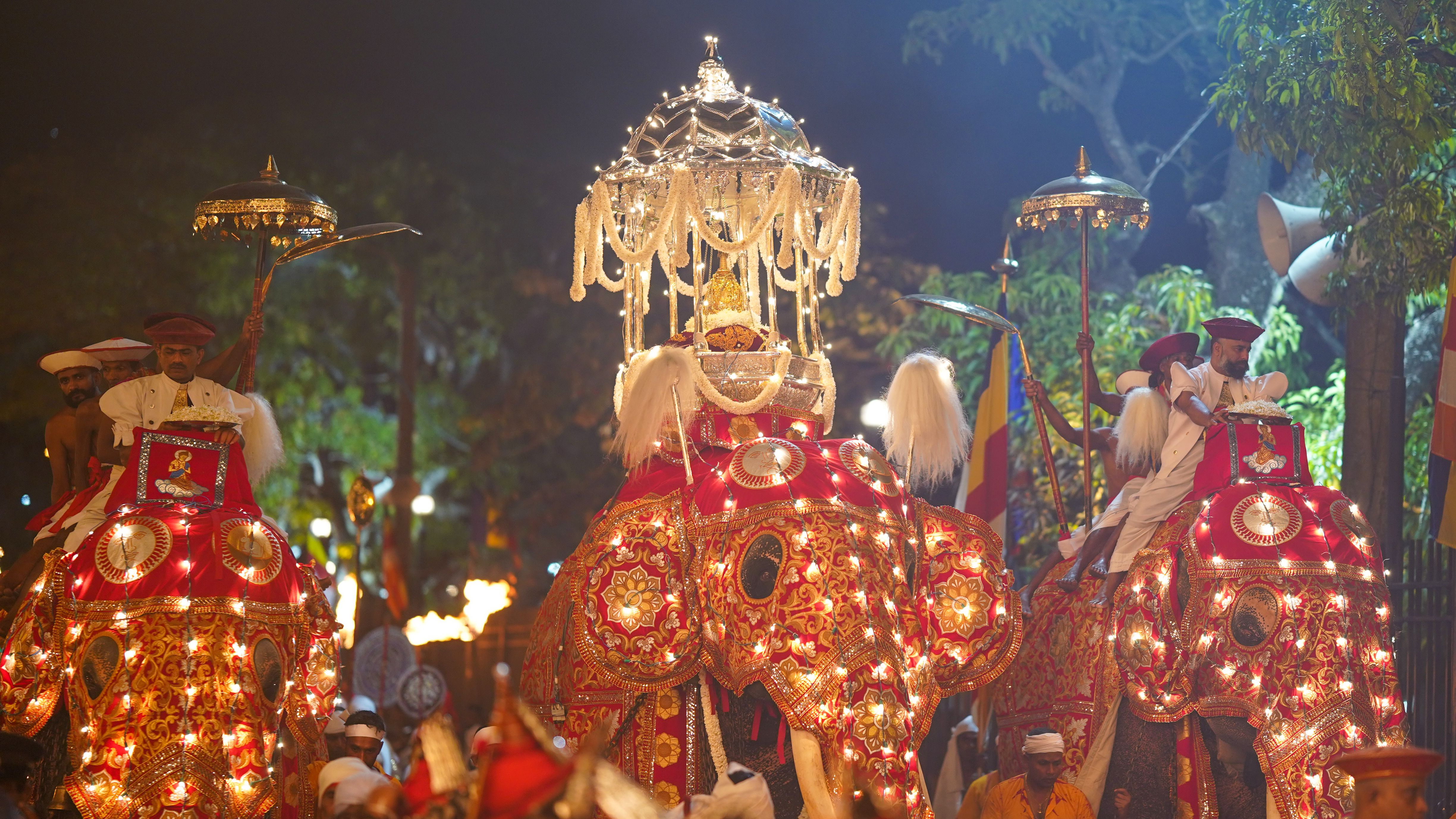 Dinuka Gunawardana 所收藏的 13 個 Kandy Esala Perahera 2023 相片和影片