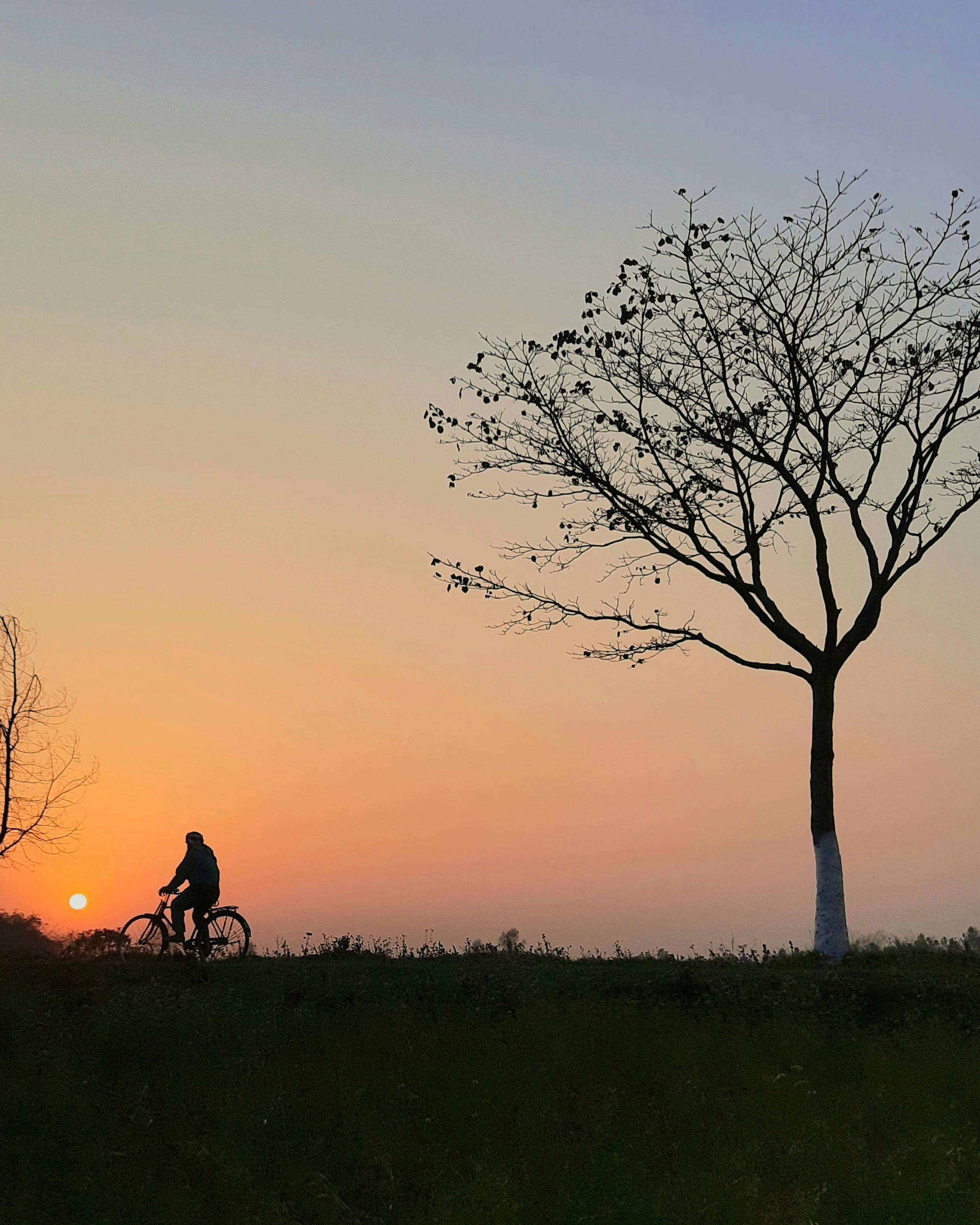 sheikh basim - การถ่ายภาพ