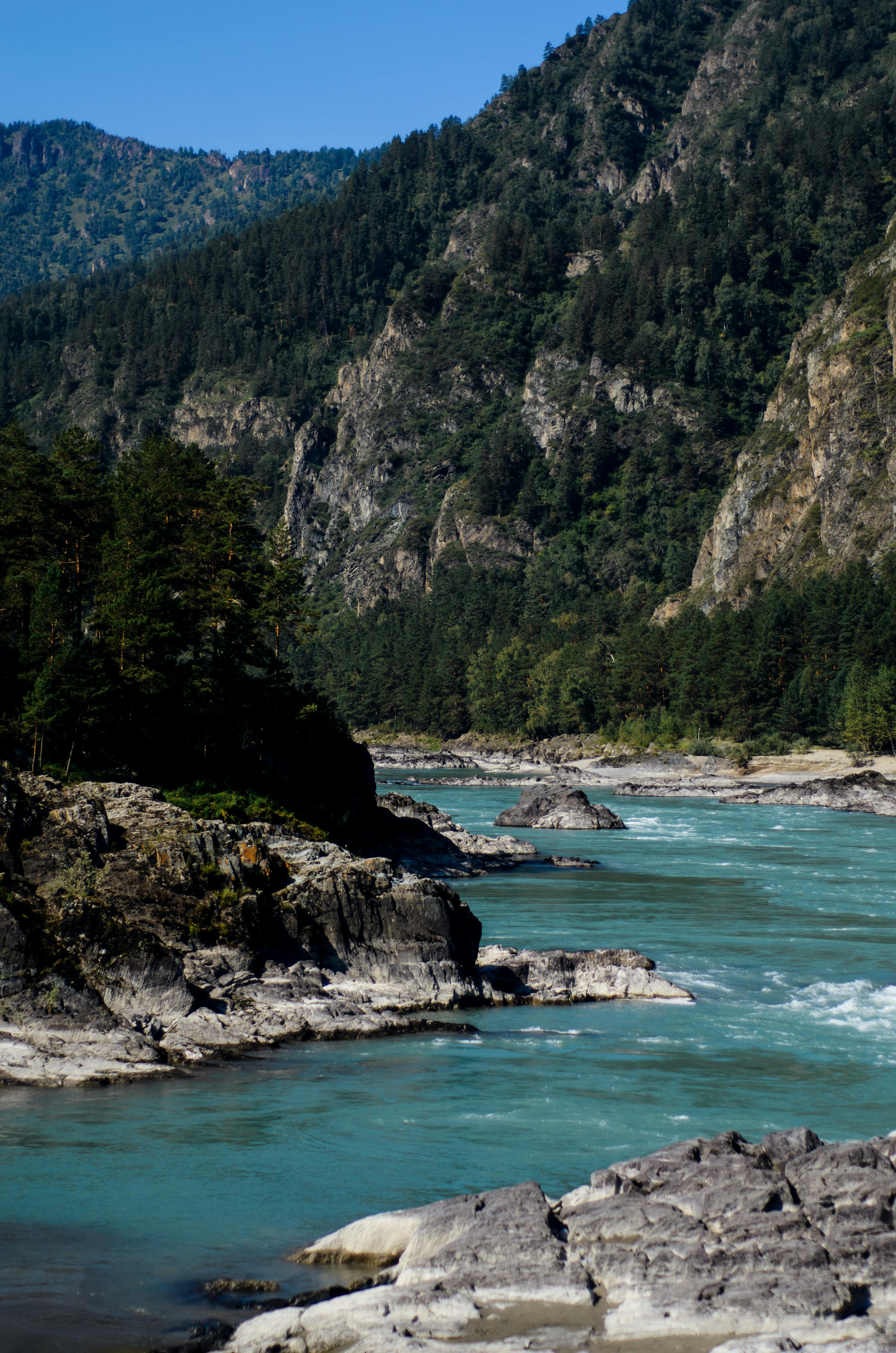 Rivers And Trees Photos, Download The BEST Free Rivers And Trees Stock ...