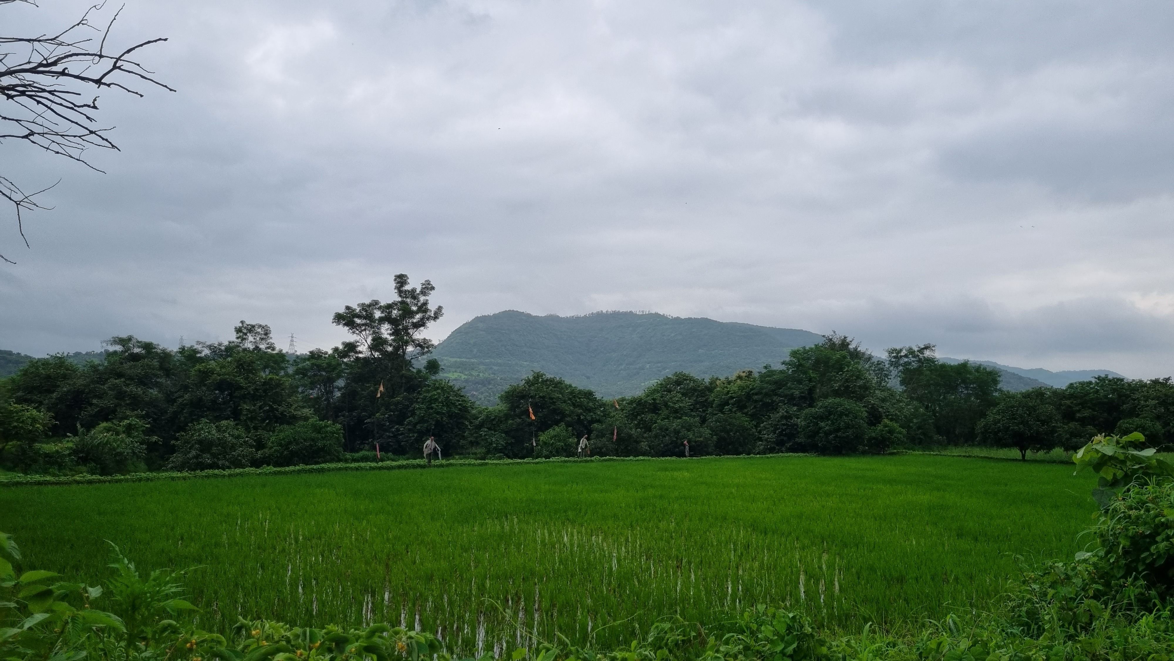 Omkar Dhamdhere - Photography