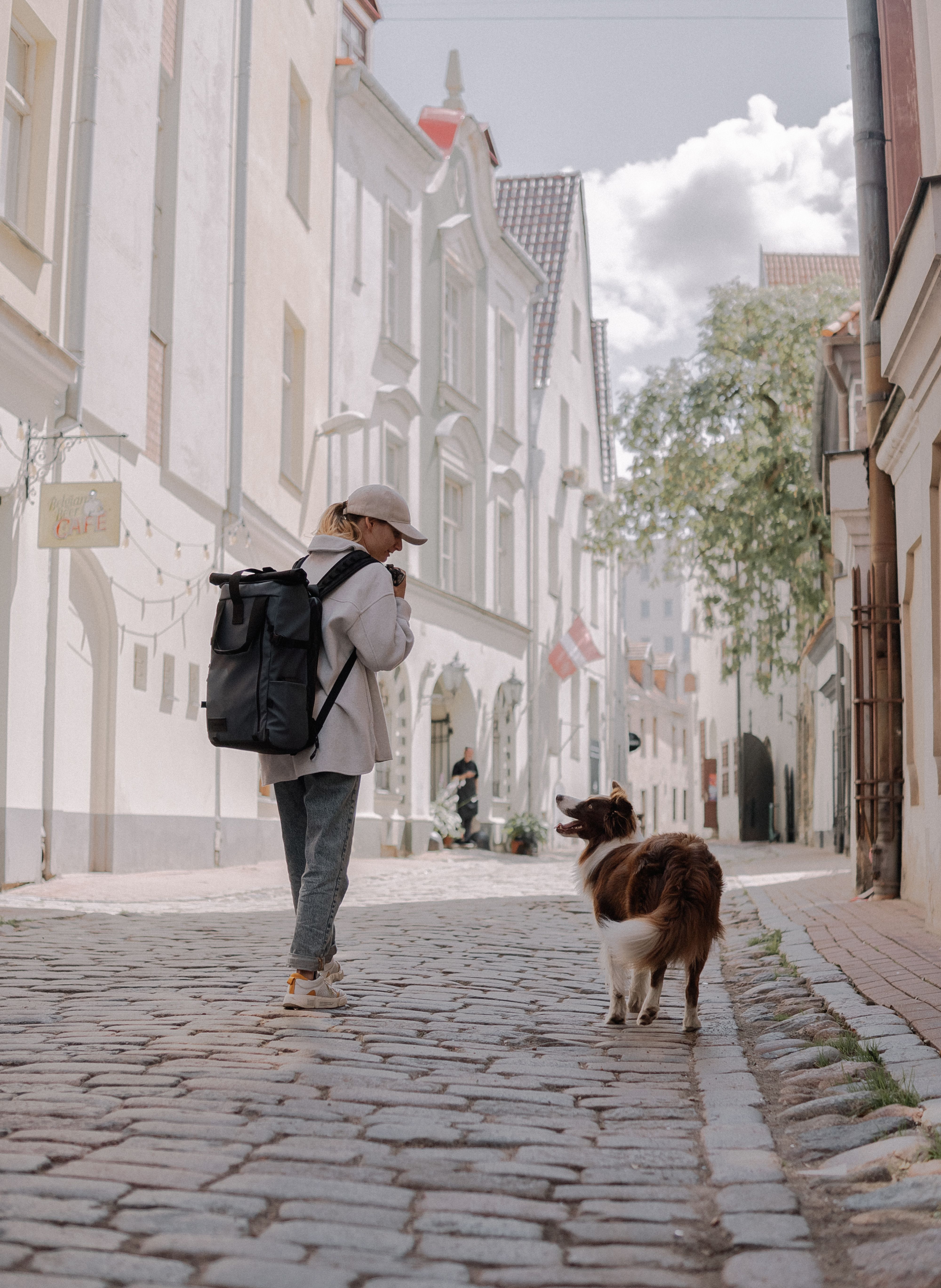 4k Walking Photos, Download The BEST Free 4k Walking Stock Photos & HD ...