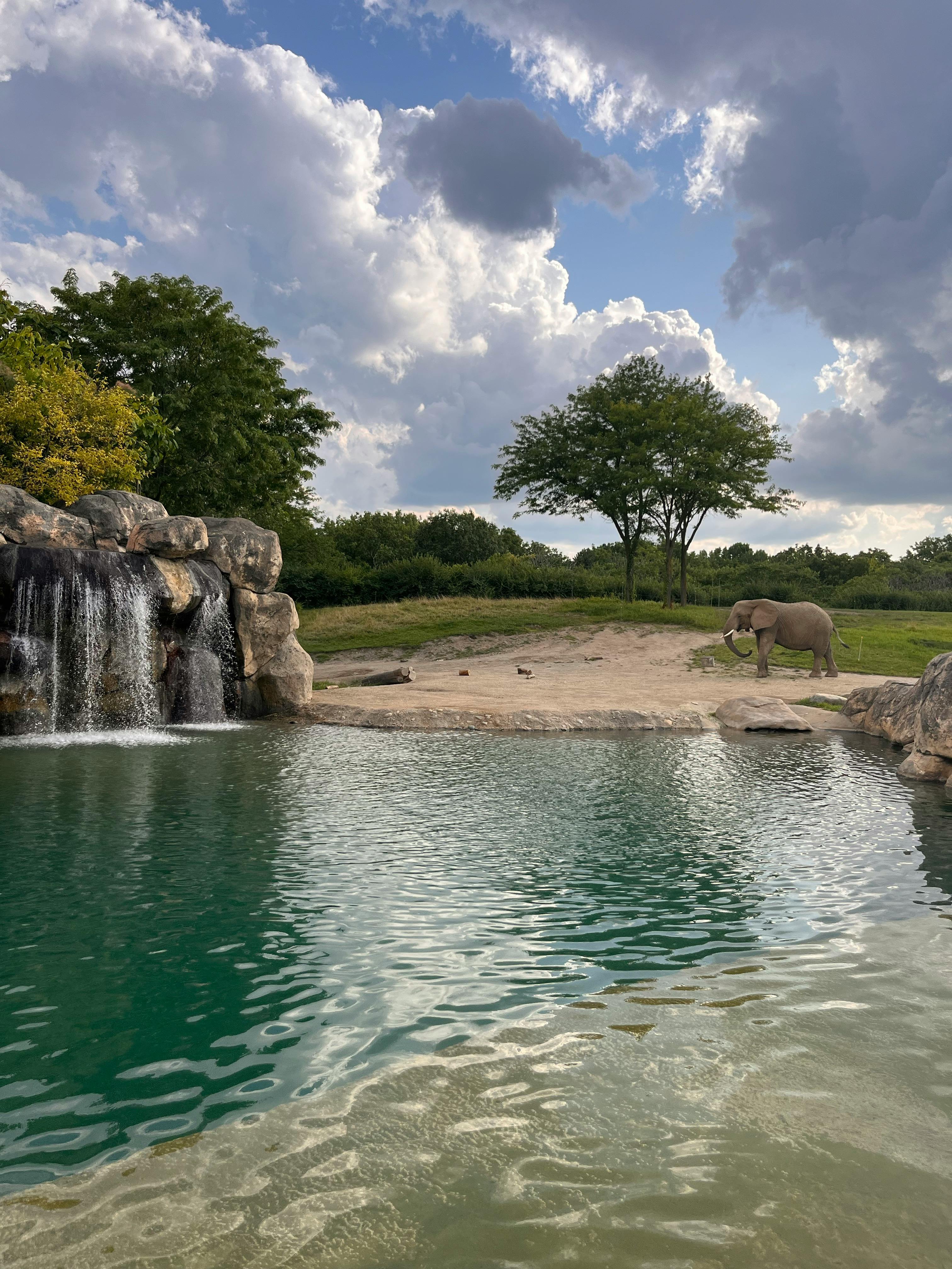 Animated Waterfall Photos, Download The BEST Free Animated Waterfall ...