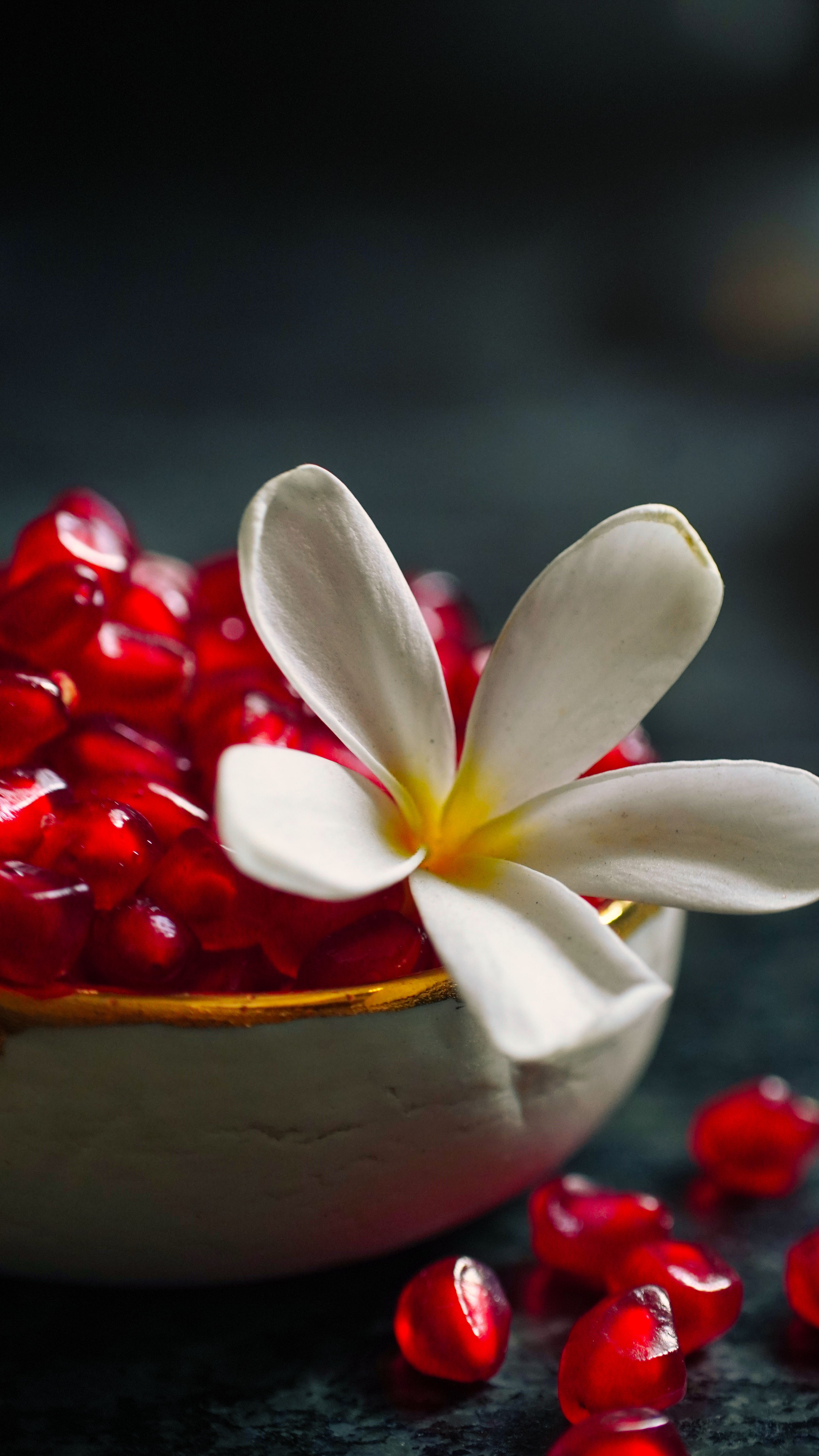 Close-up of a Bowl of Sweets and a Flower · Free Stock Photo