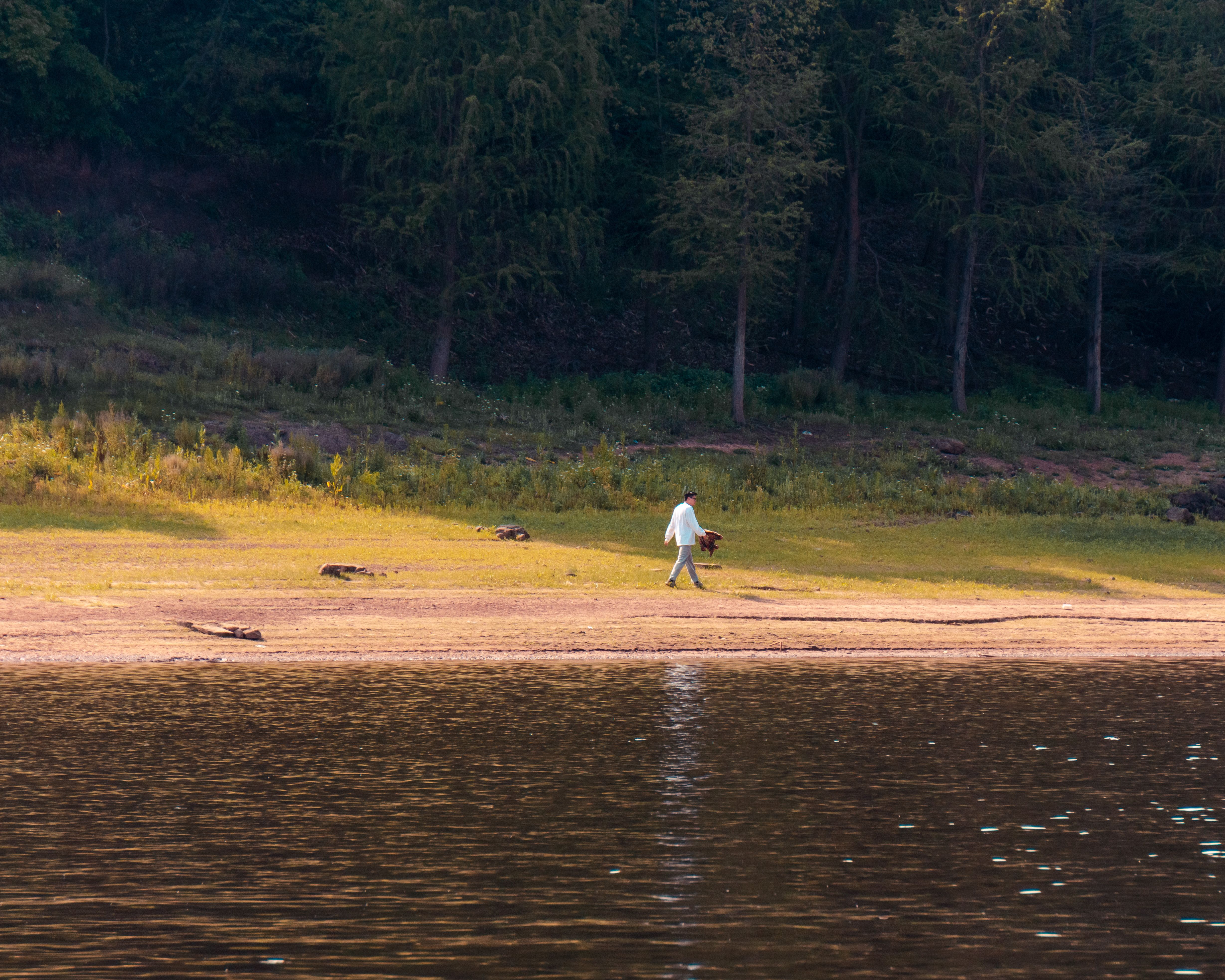 Man Walking Along the Lake Shore · Free Stock Photo