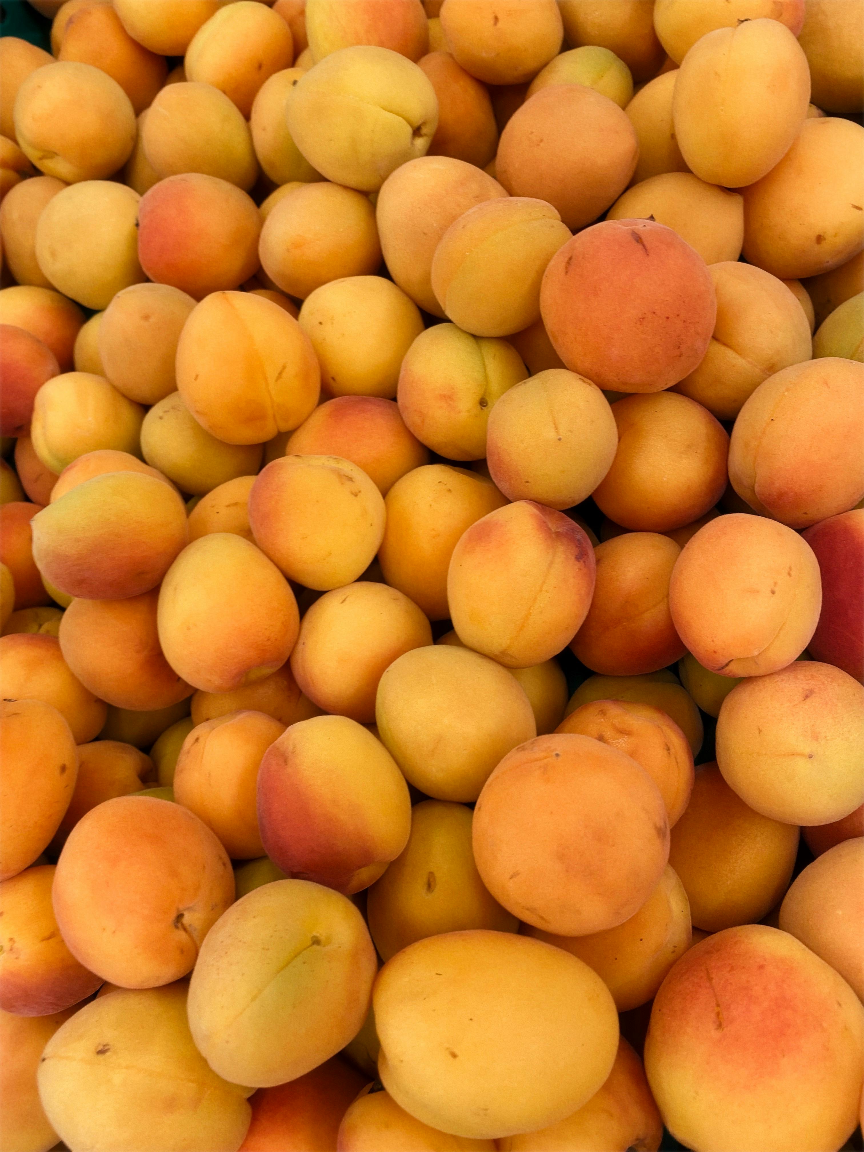 Close Up Photo of Apricots · Free Stock Photo