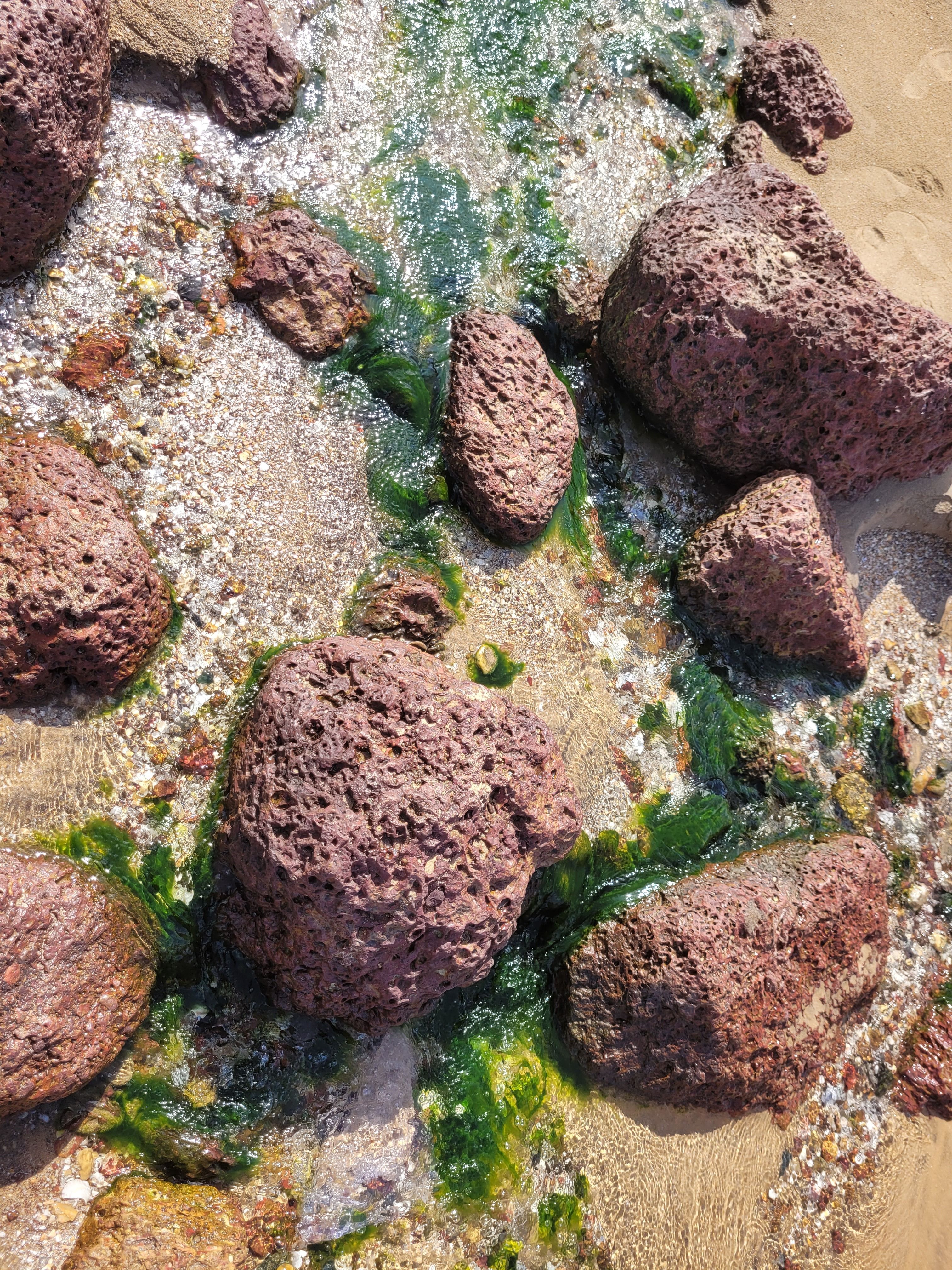 Close up of Stones on Shore · Free Stock Photo