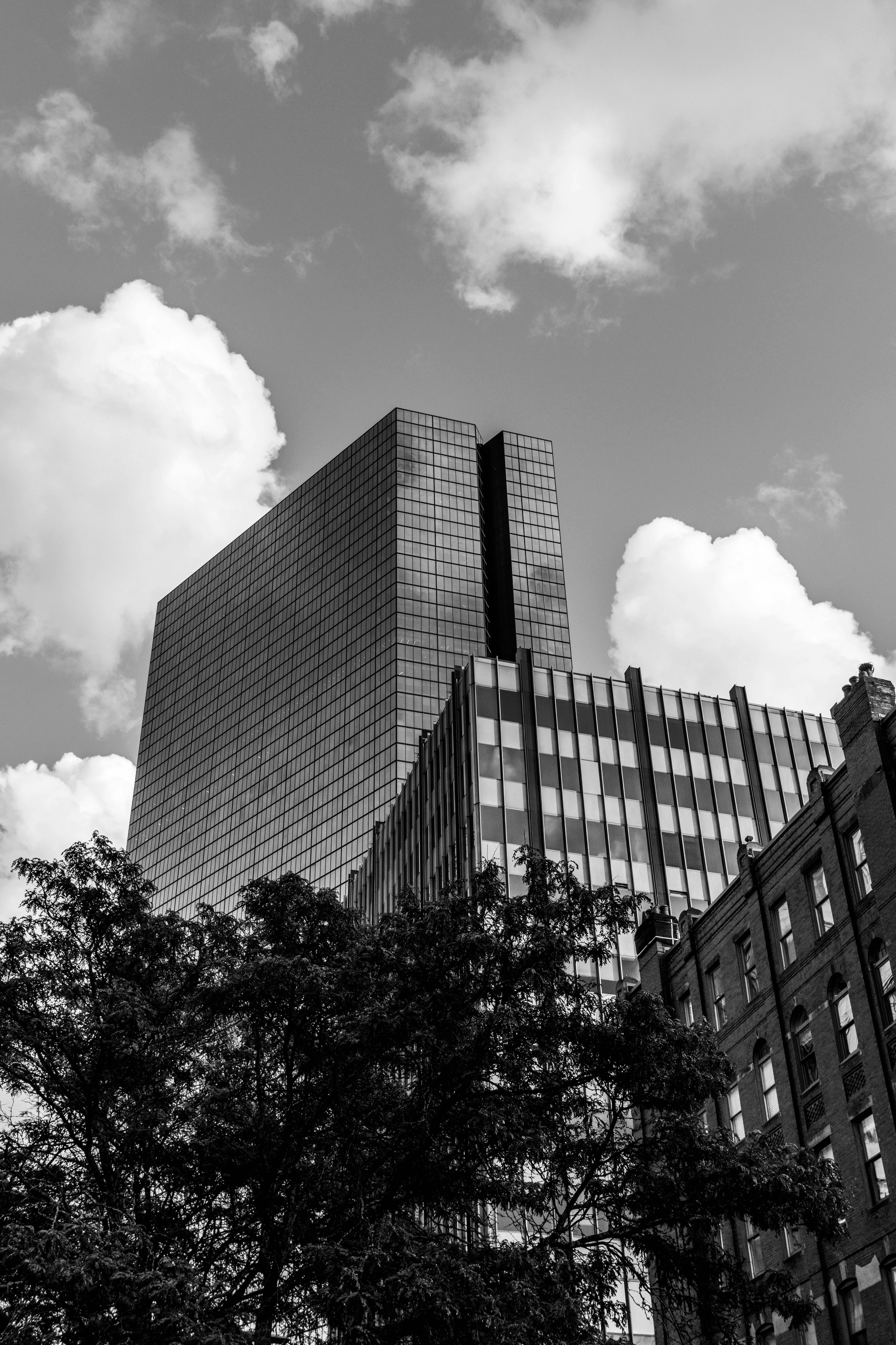 Skyscrapers Walls in Black and White · Free Stock Photo
