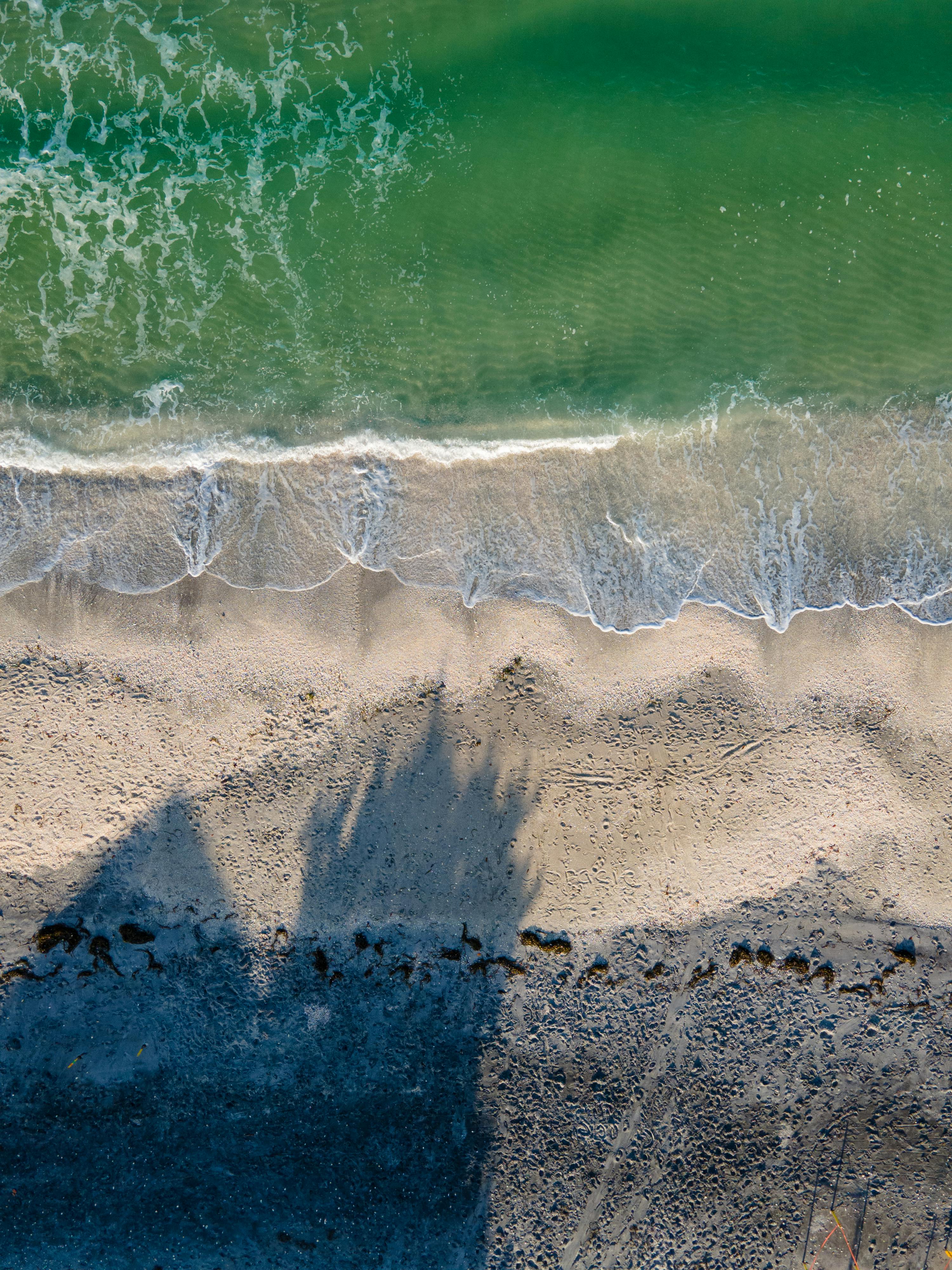 Waves by the Sunny Beach · Free Stock Photo