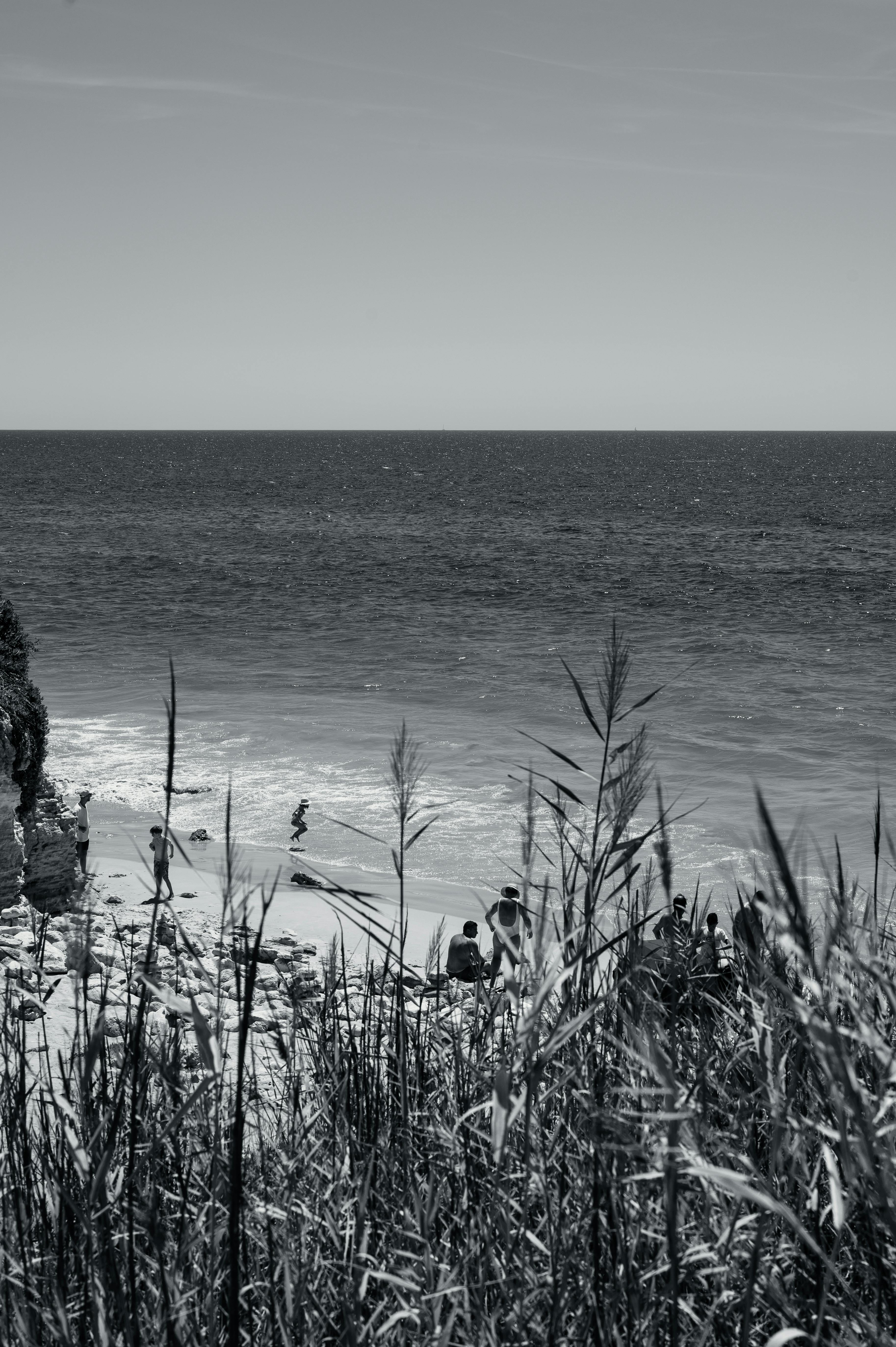 Black and White Photo of Grass, Beach and Sea · Free Stock Photo