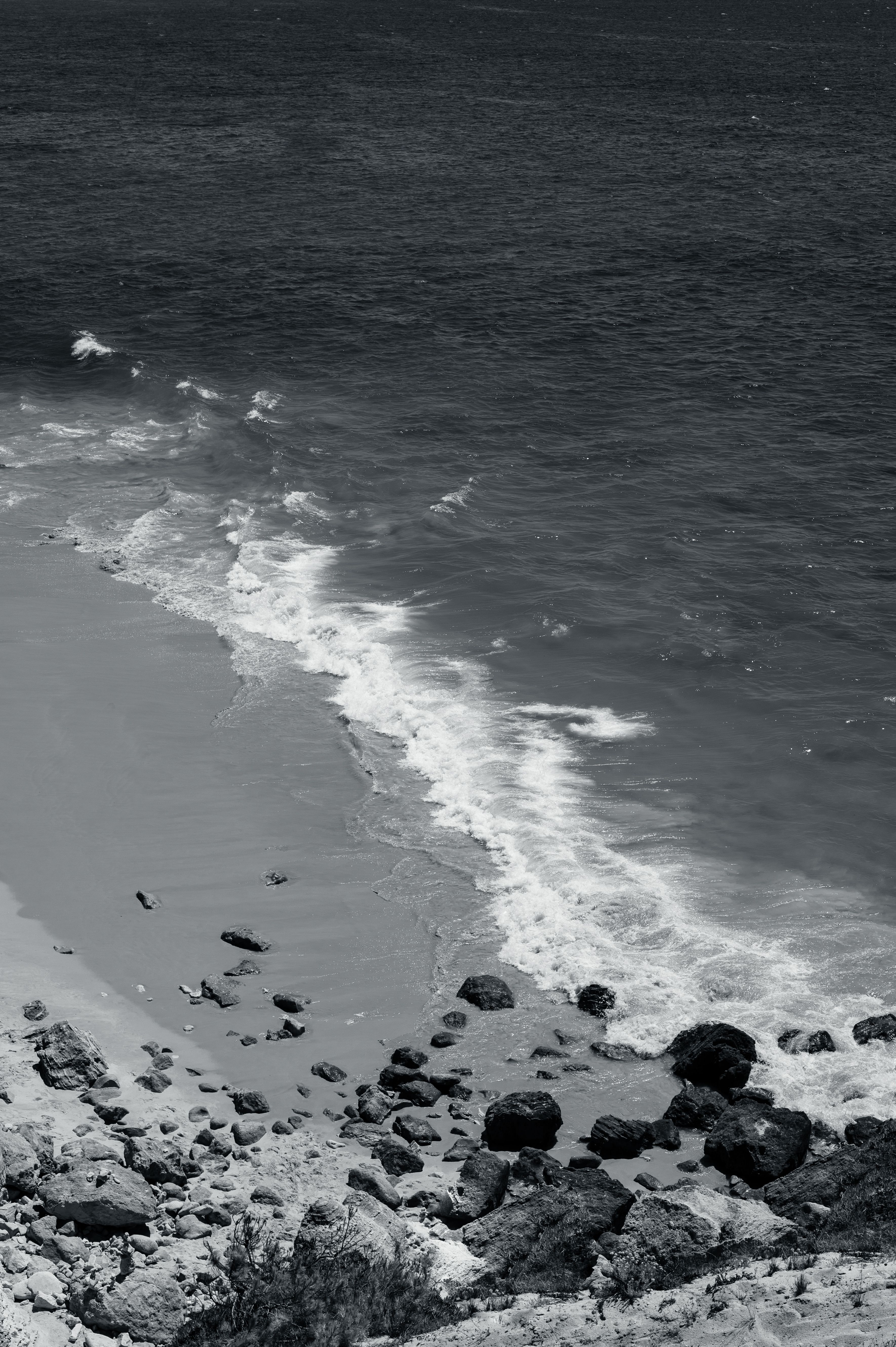 Beach on Sea Shore in Black and White · Free Stock Photo