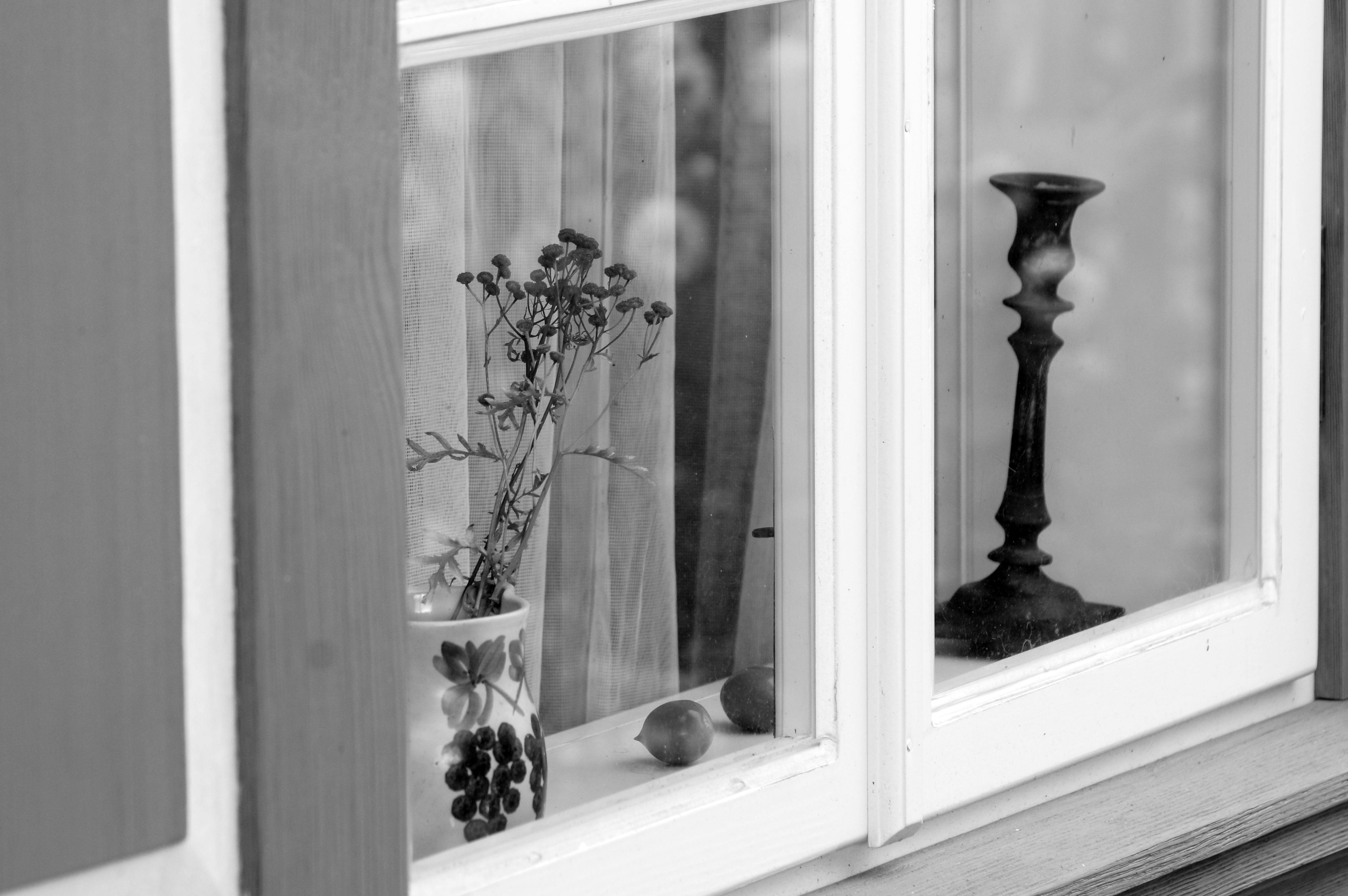 Sunlight on Building Windows · Free Stock Photo