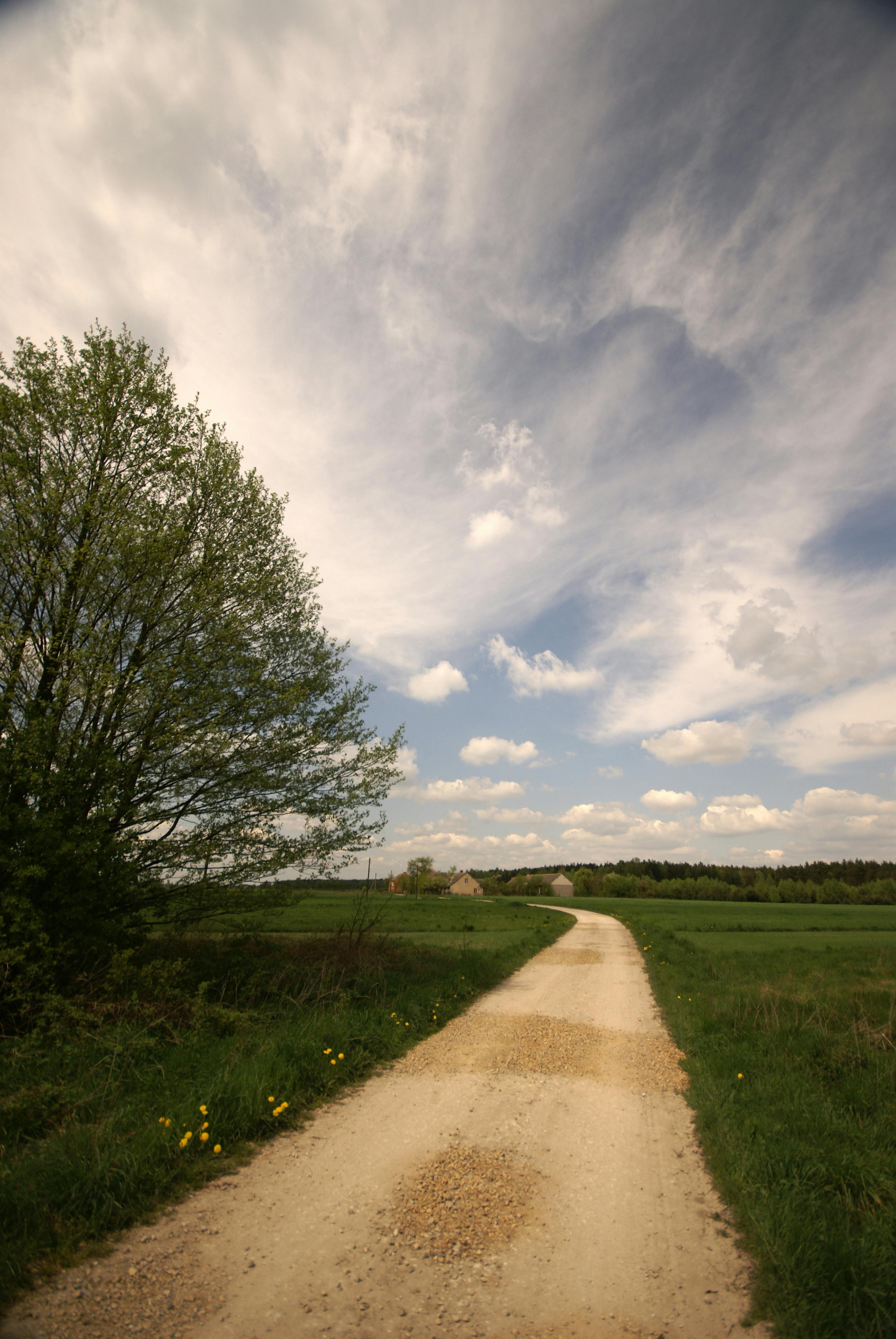 Dirt Road and Rural Fields in Countryside · Free Stock Photo