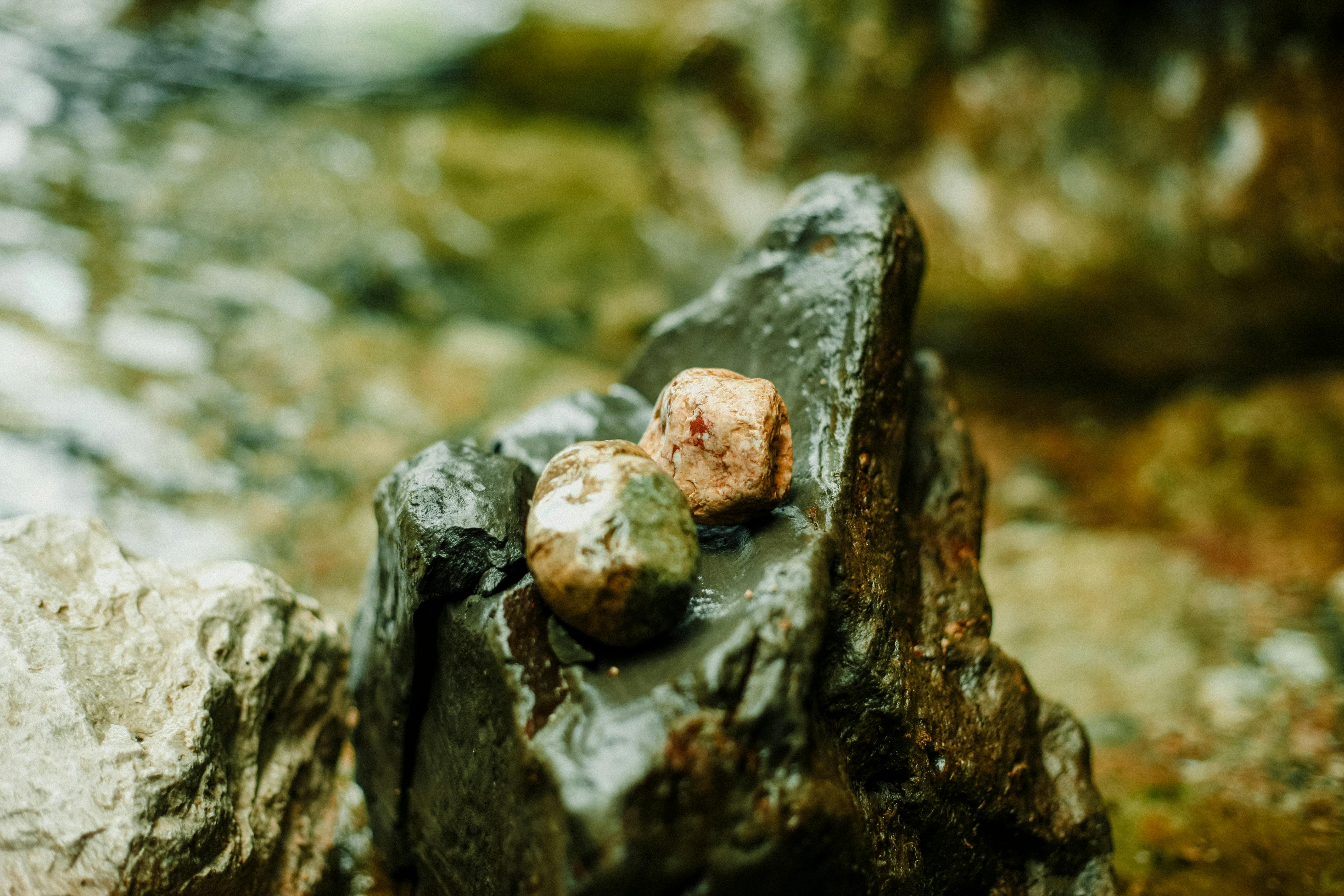 Stone · Free Stock Photo