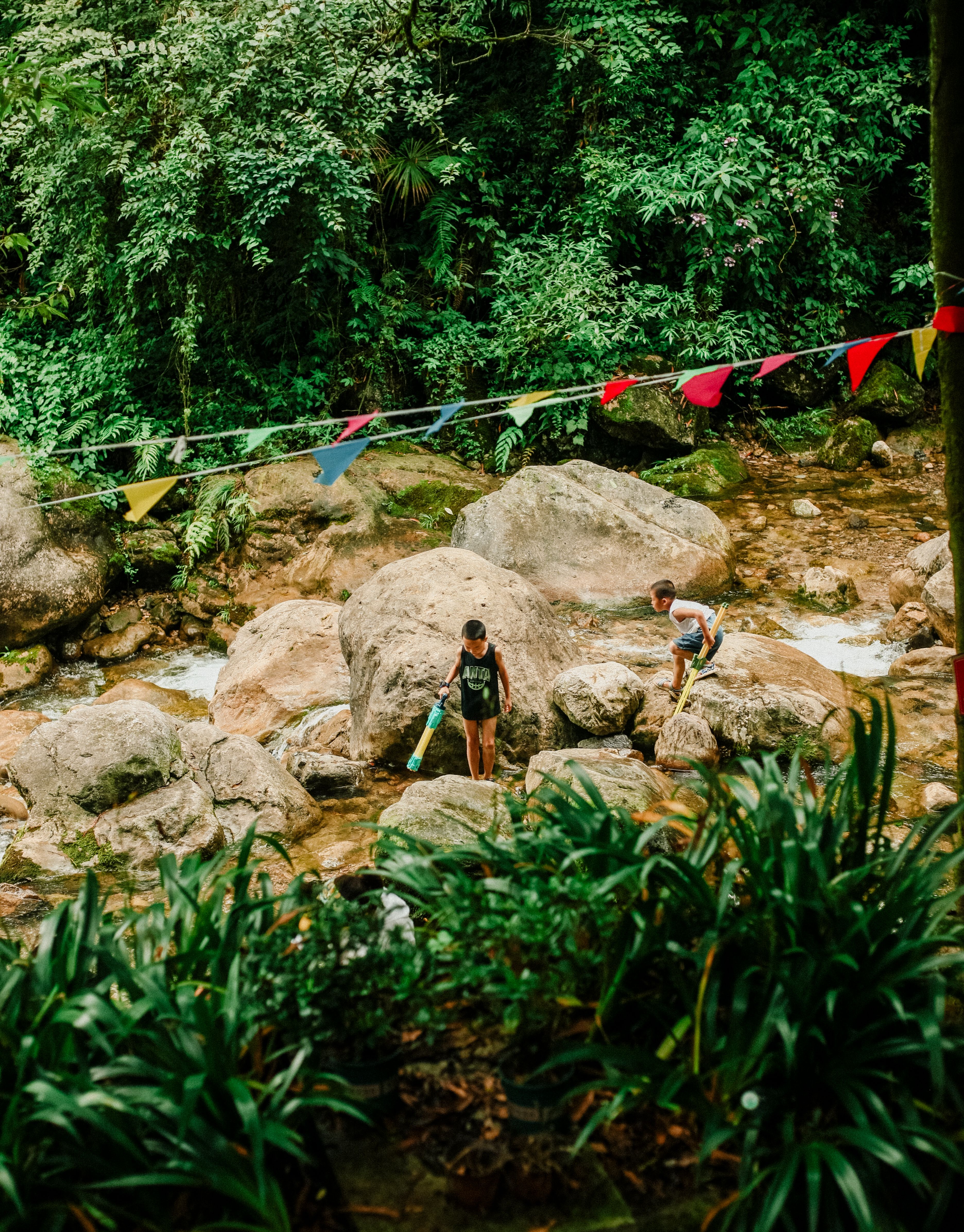 Children Playing on Rocks in Forest · Free Stock Photo