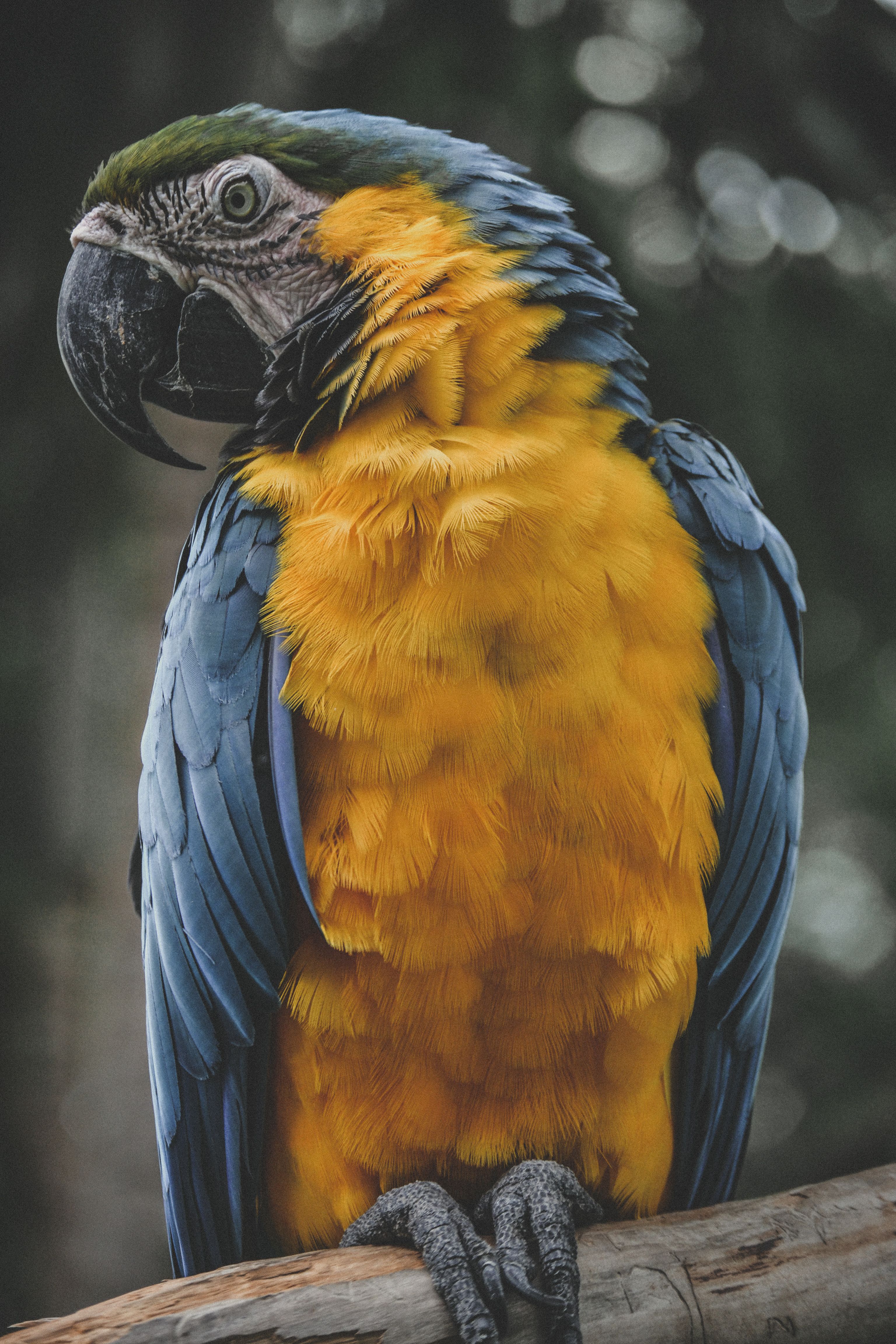 V · Free Stock Photo