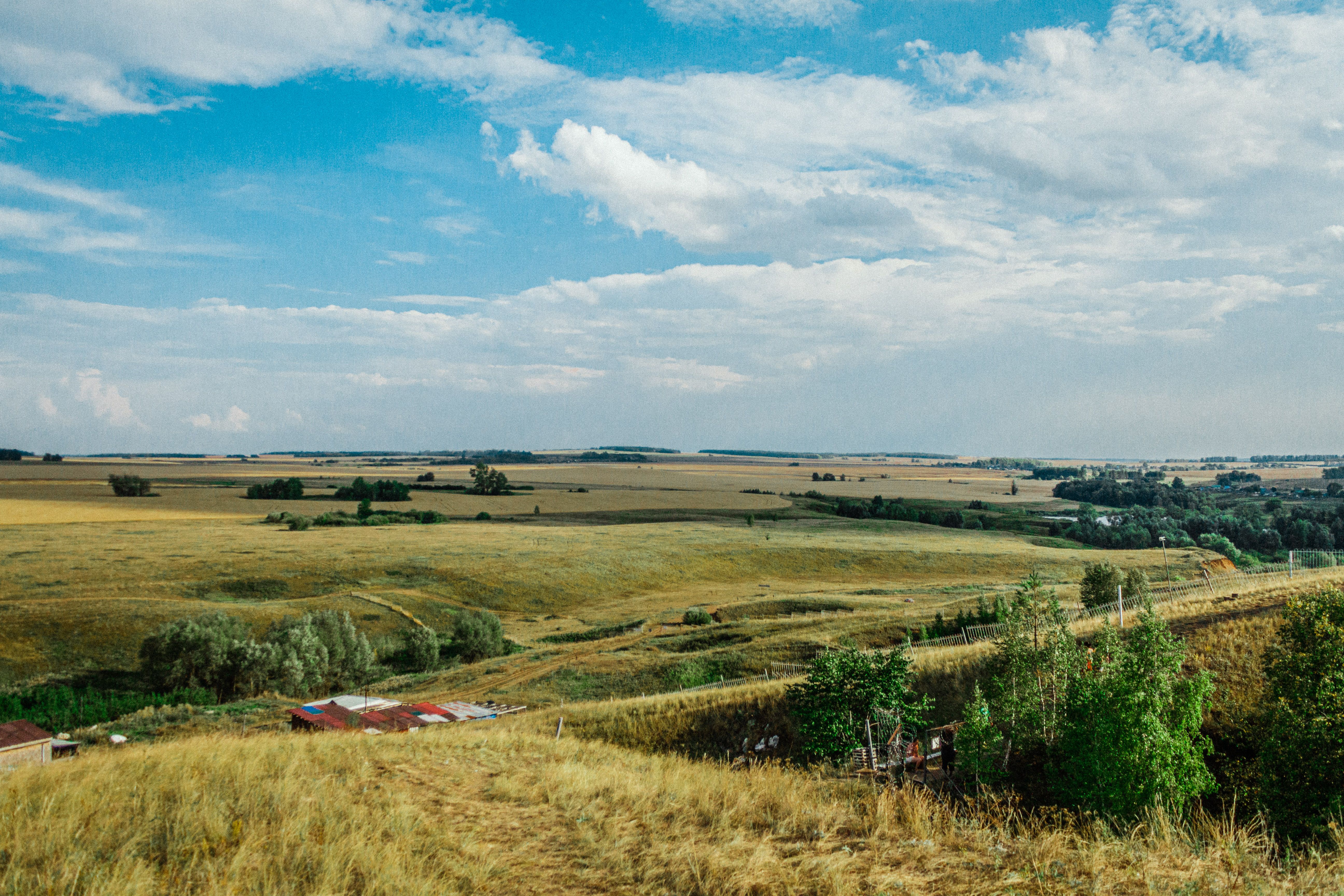 Бесплатные стоковые фото на тему air, bluesky, field, forest, grass ...