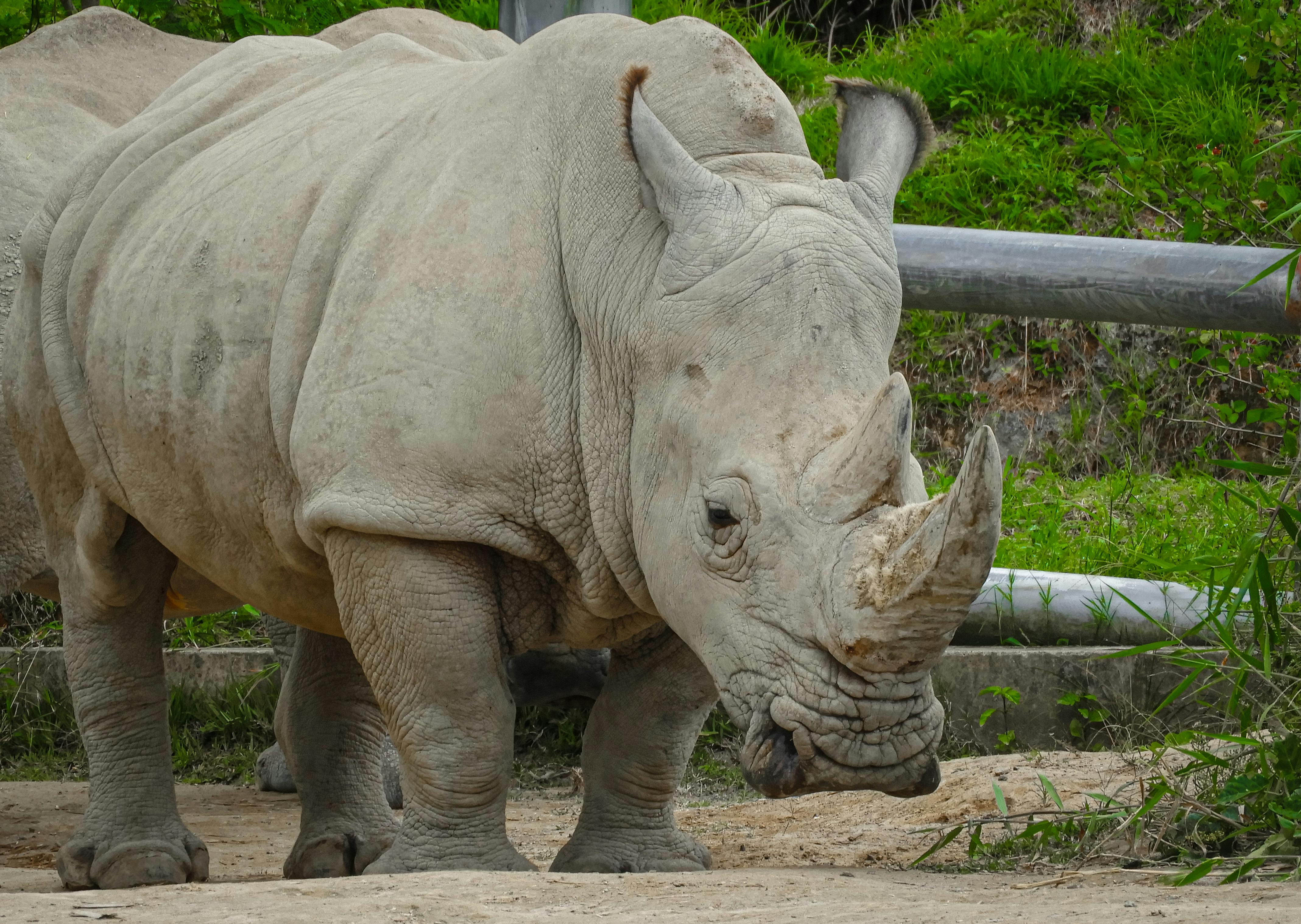 Zoo Wallpaper Photos, Download The BEST Free Zoo Wallpaper Stock Photos ...