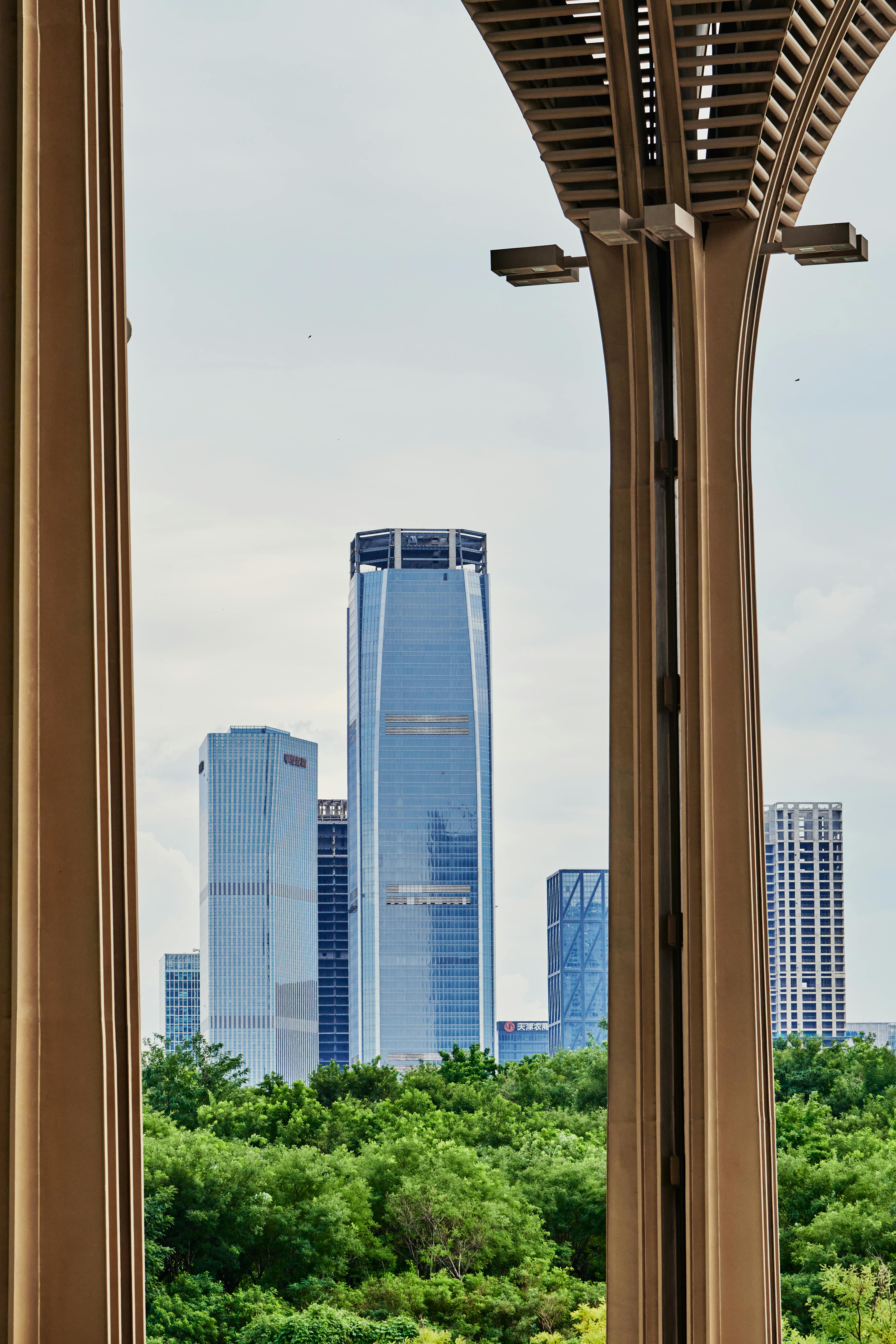 Skyscrapers behind Trees in Dongguan in China · Free Stock Photo