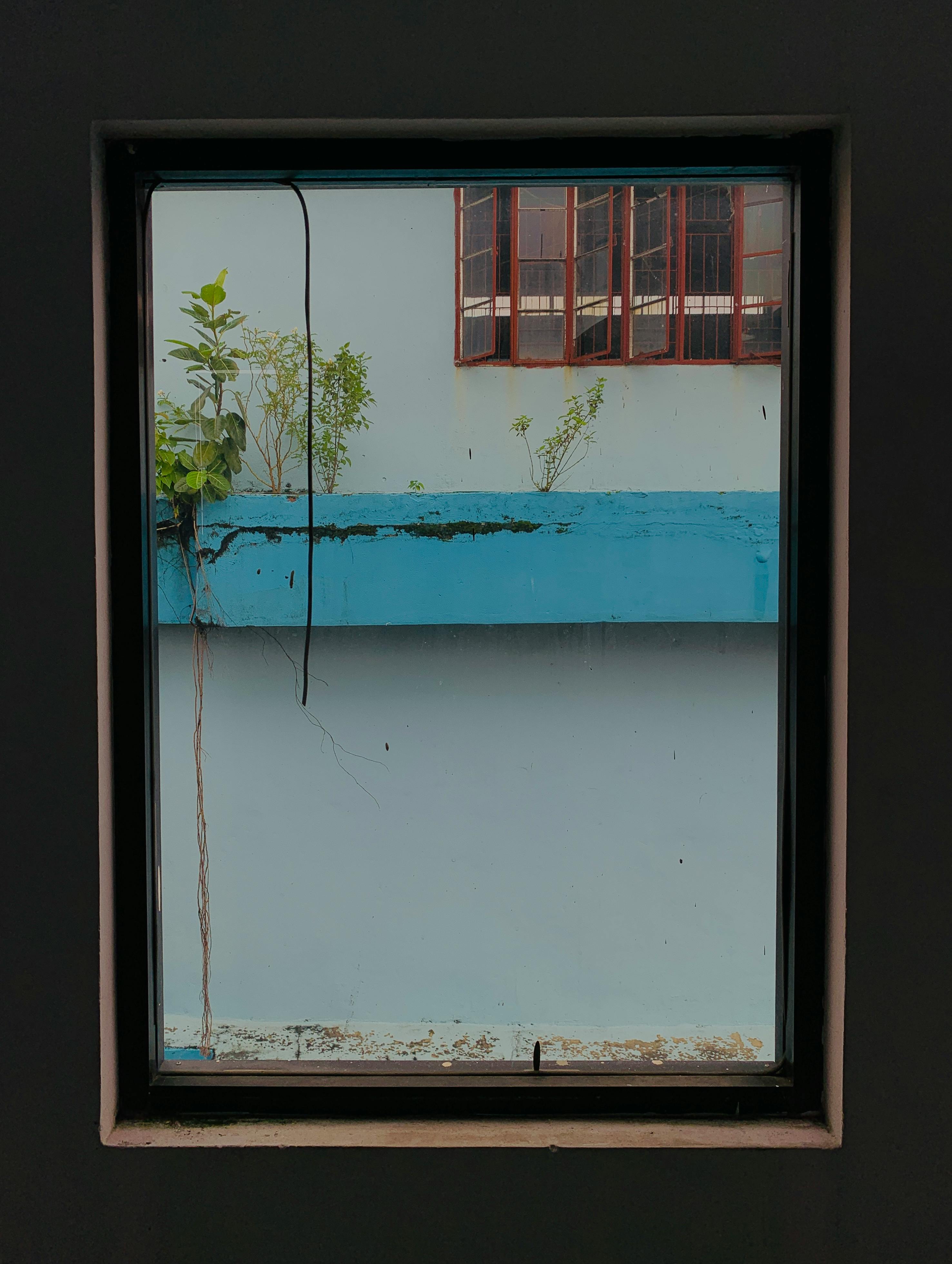 Building Wall behind Window · Free Stock Photo