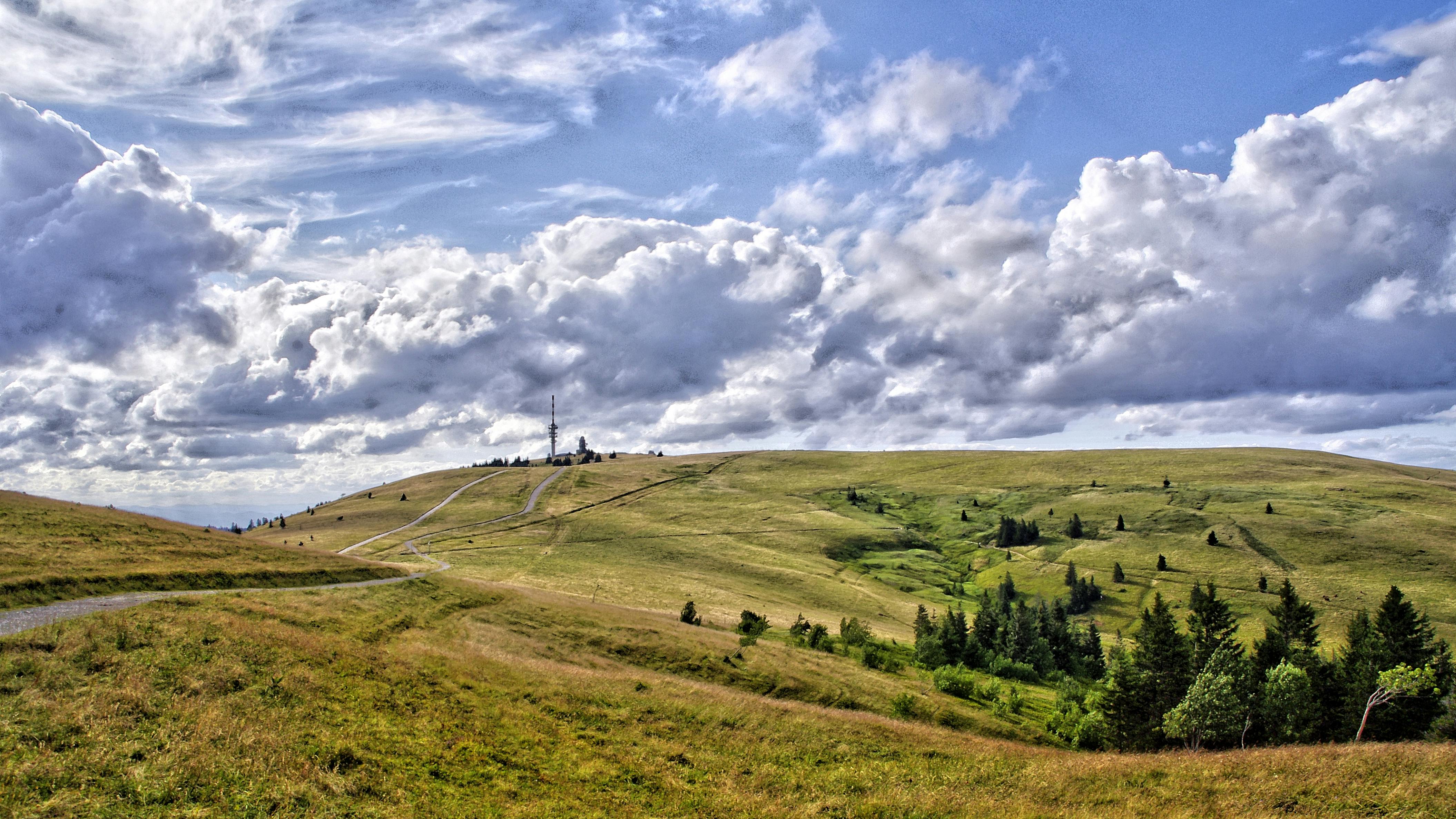 Free stock photo of feldberg, landscape, nature