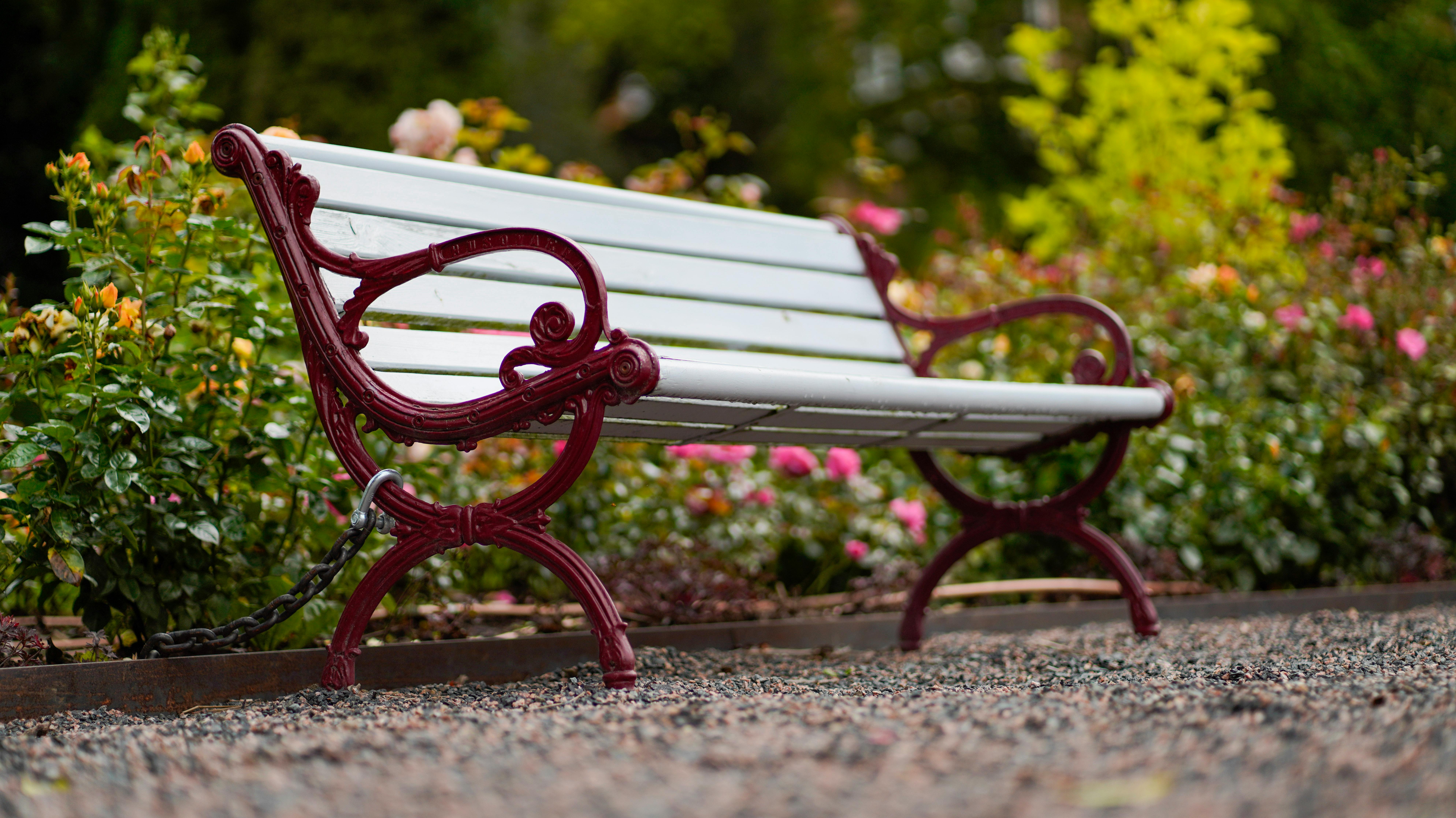 Bench on Gravel Path in Park · Free Stock Photo