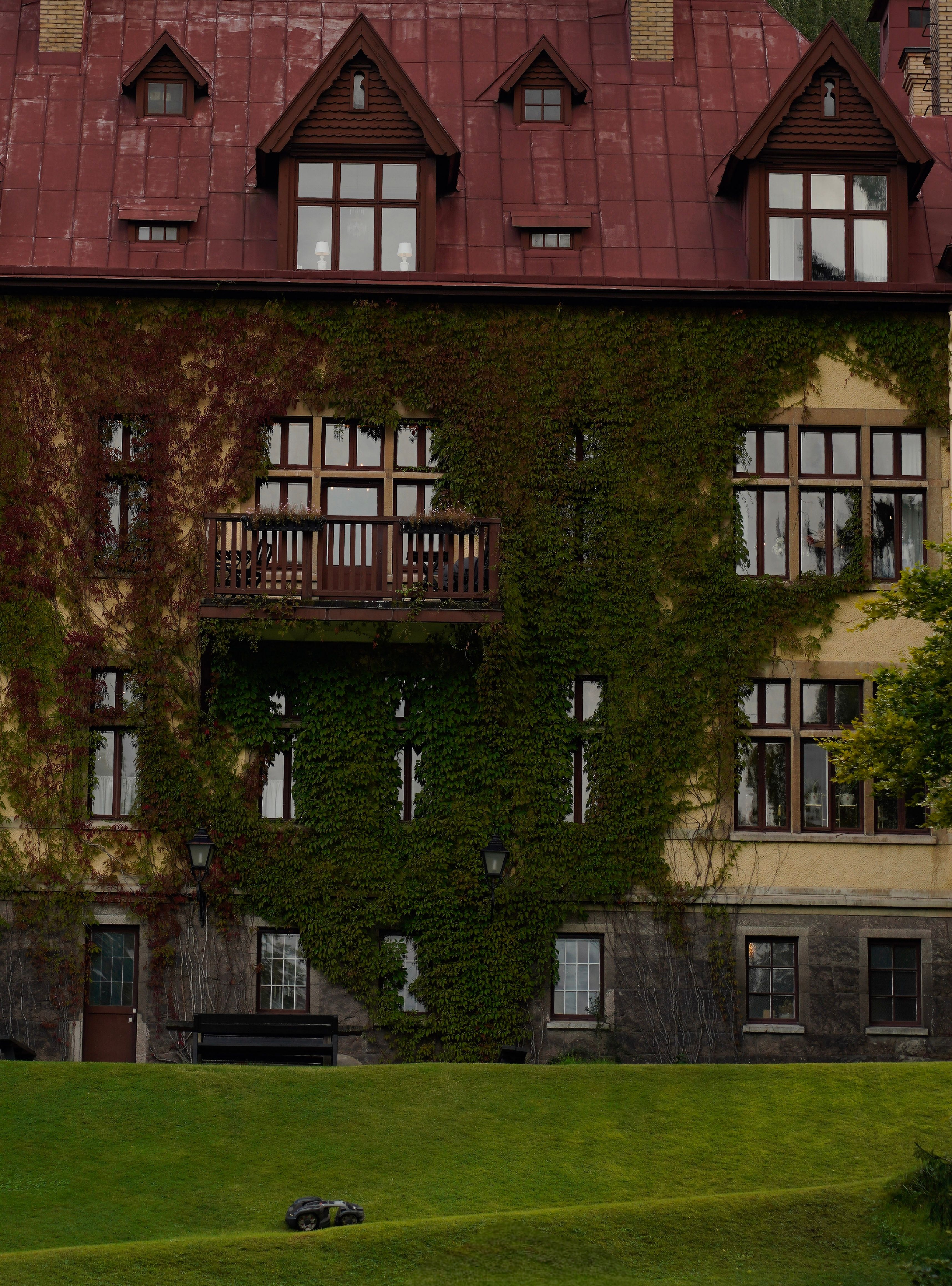Ivy on a Traditional Building · Free Stock Photo