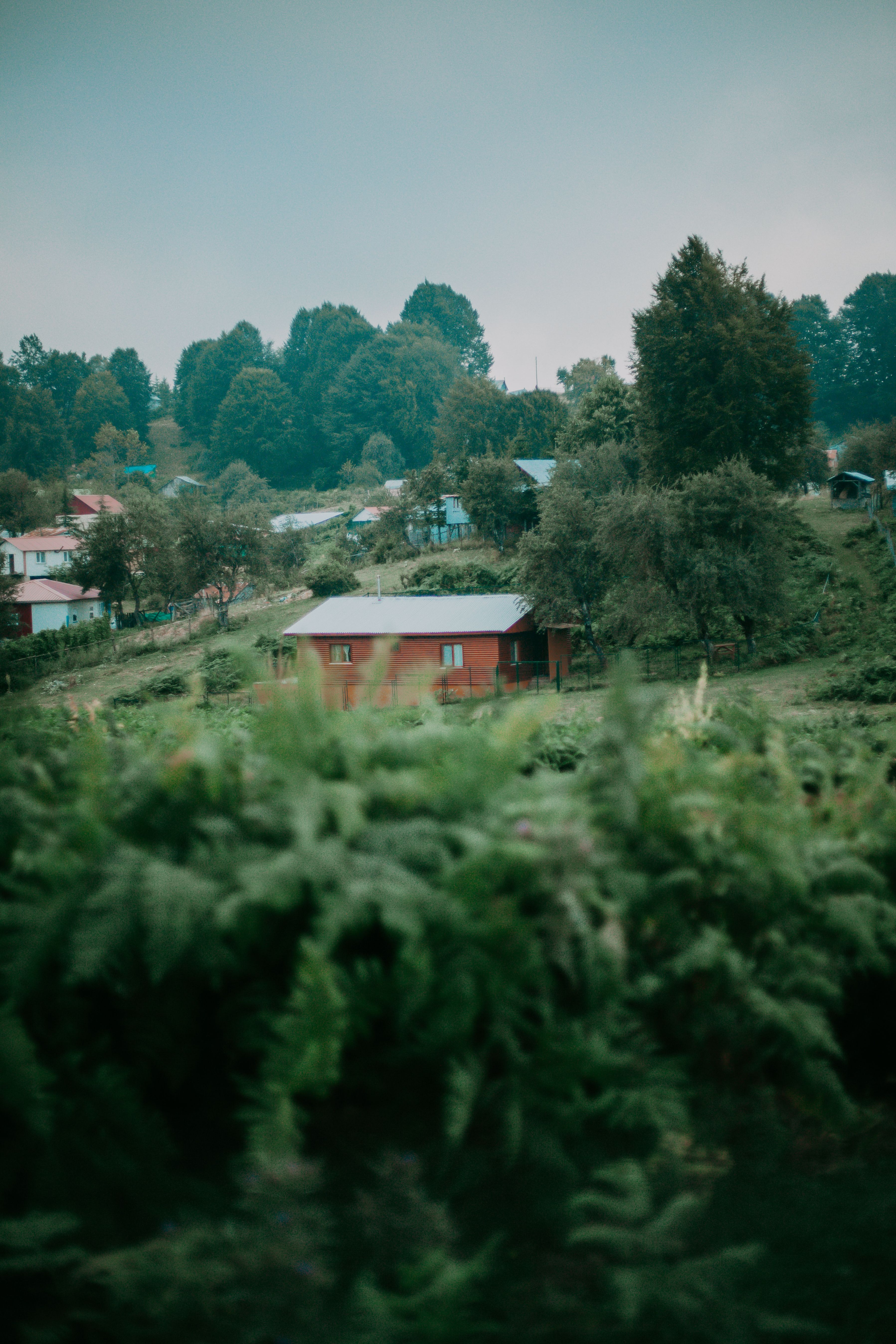 Aerial View of Buildings in a Village and Trees · Free Stock Photo