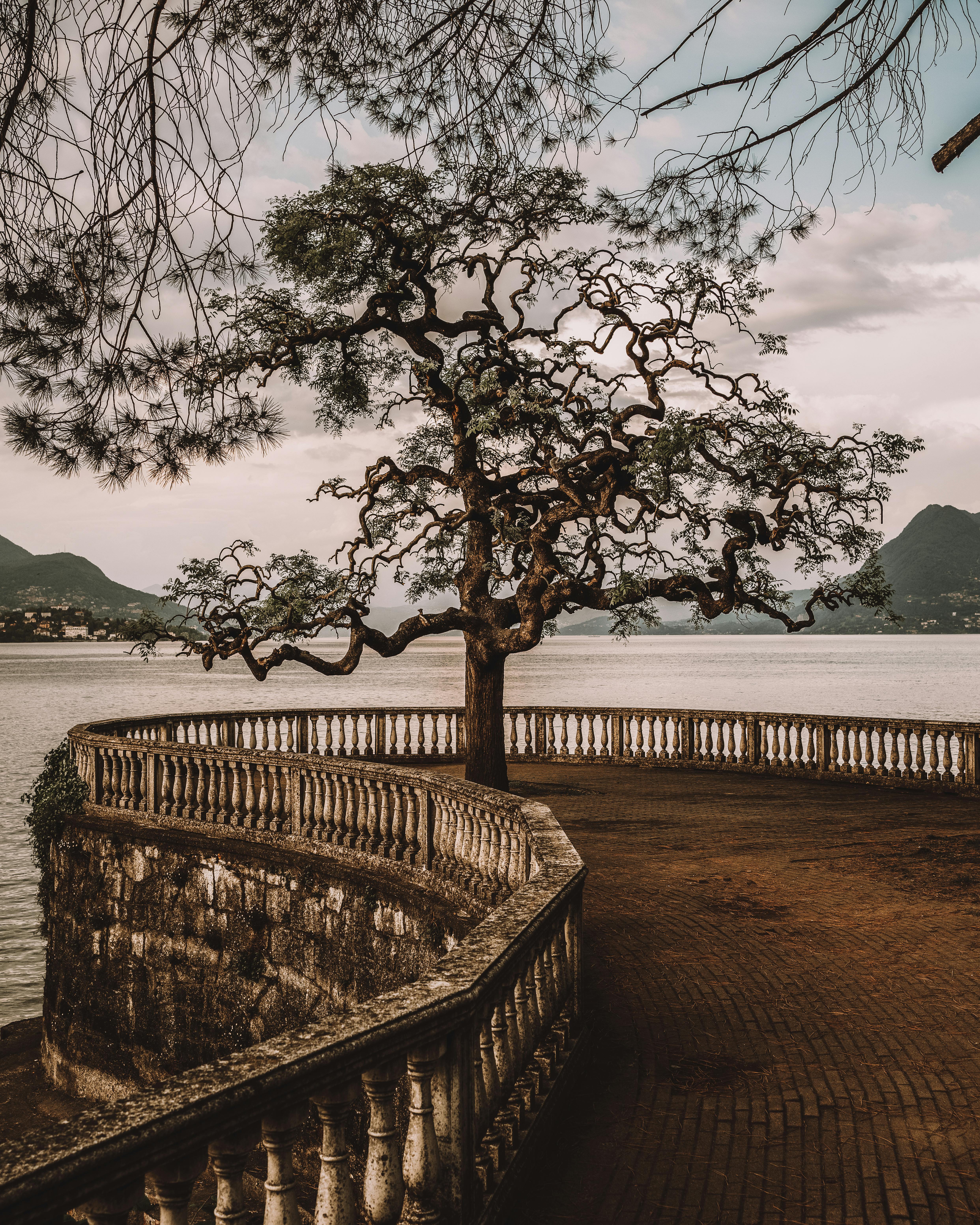 Armageddon Photos, Download The BEST Free Armageddon Stock Photos & HD ...