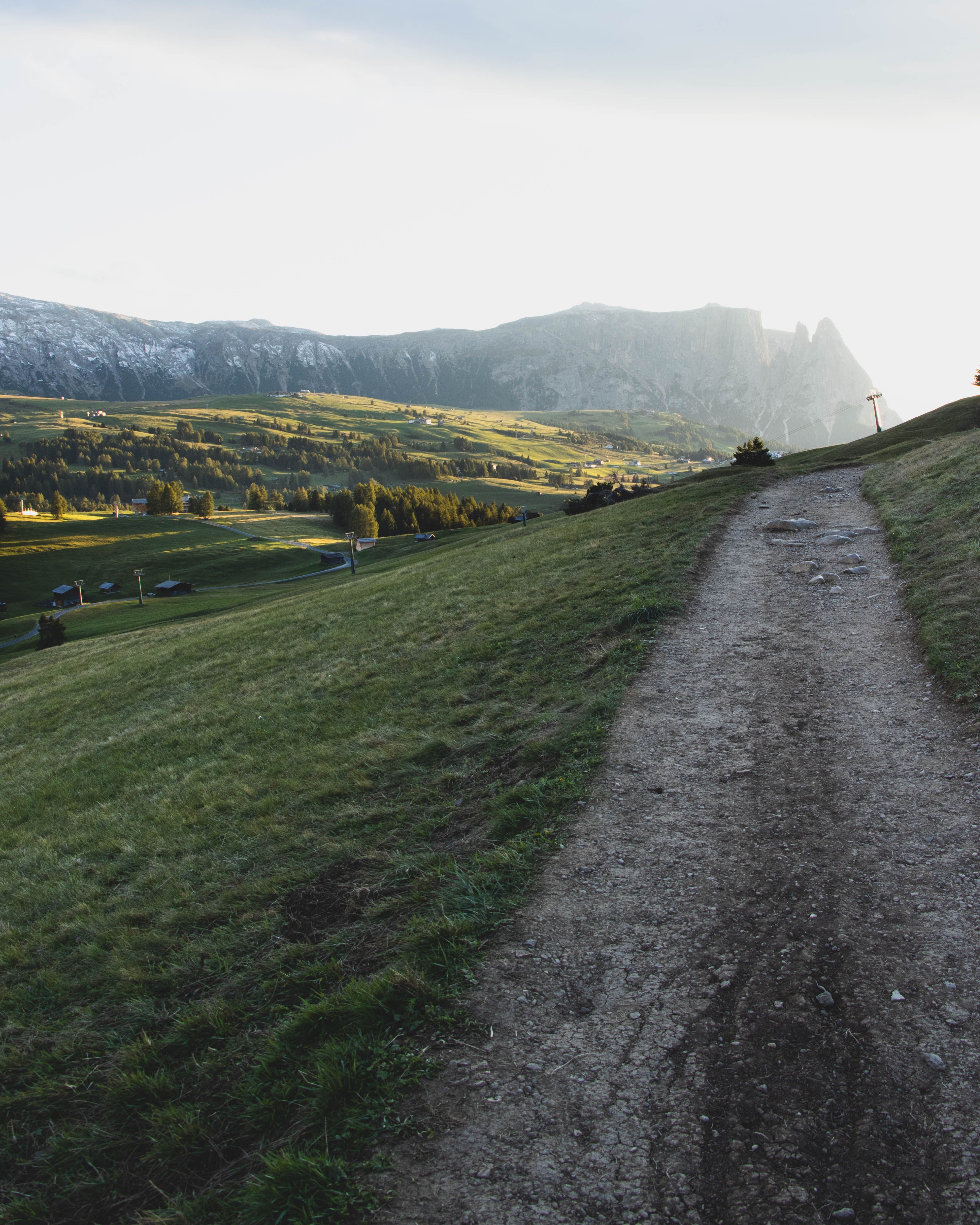 Trail Running Photos, Download The BEST Free Trail Running Stock Photos ...