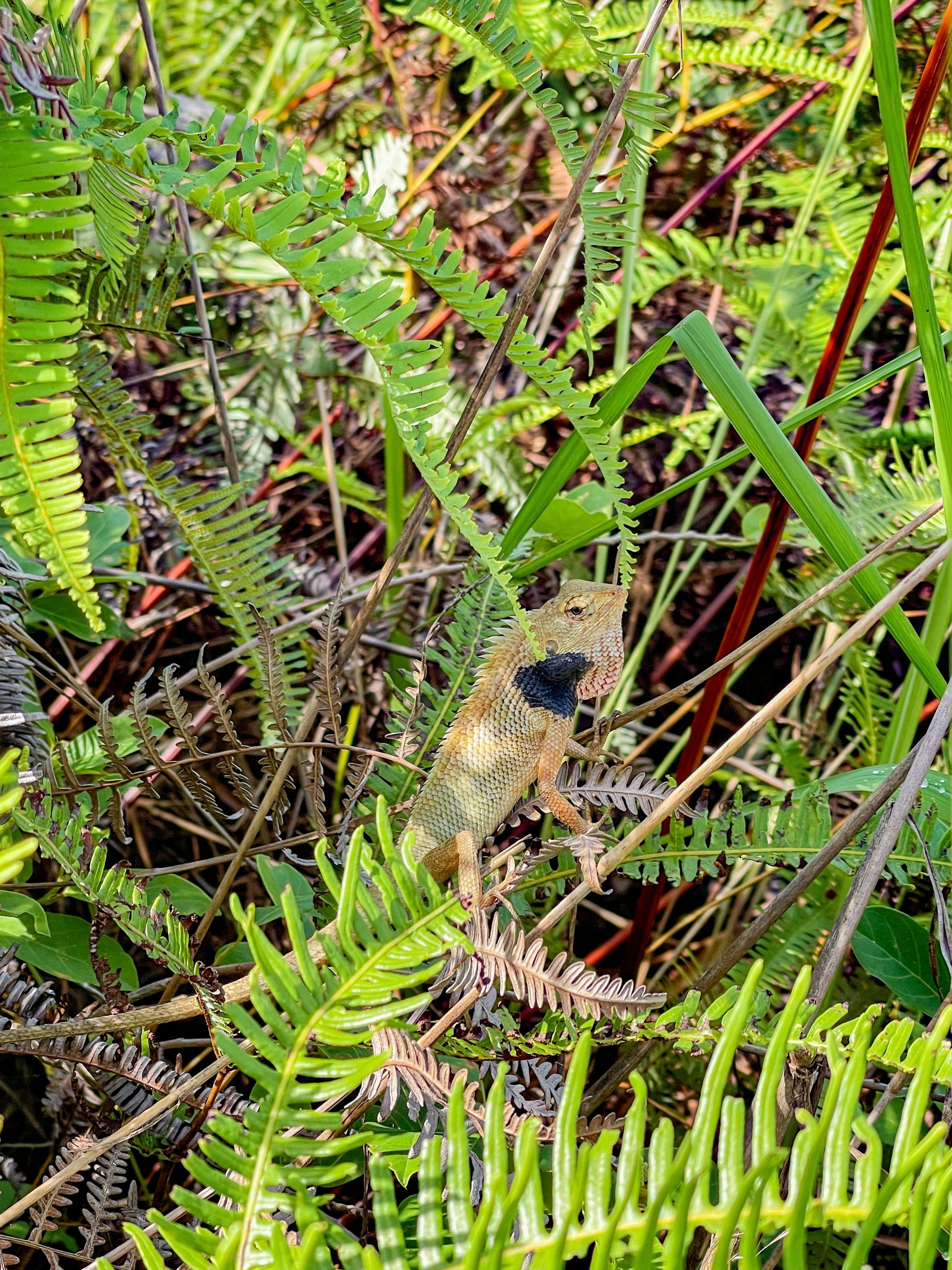 Catherine Sheila - Photography