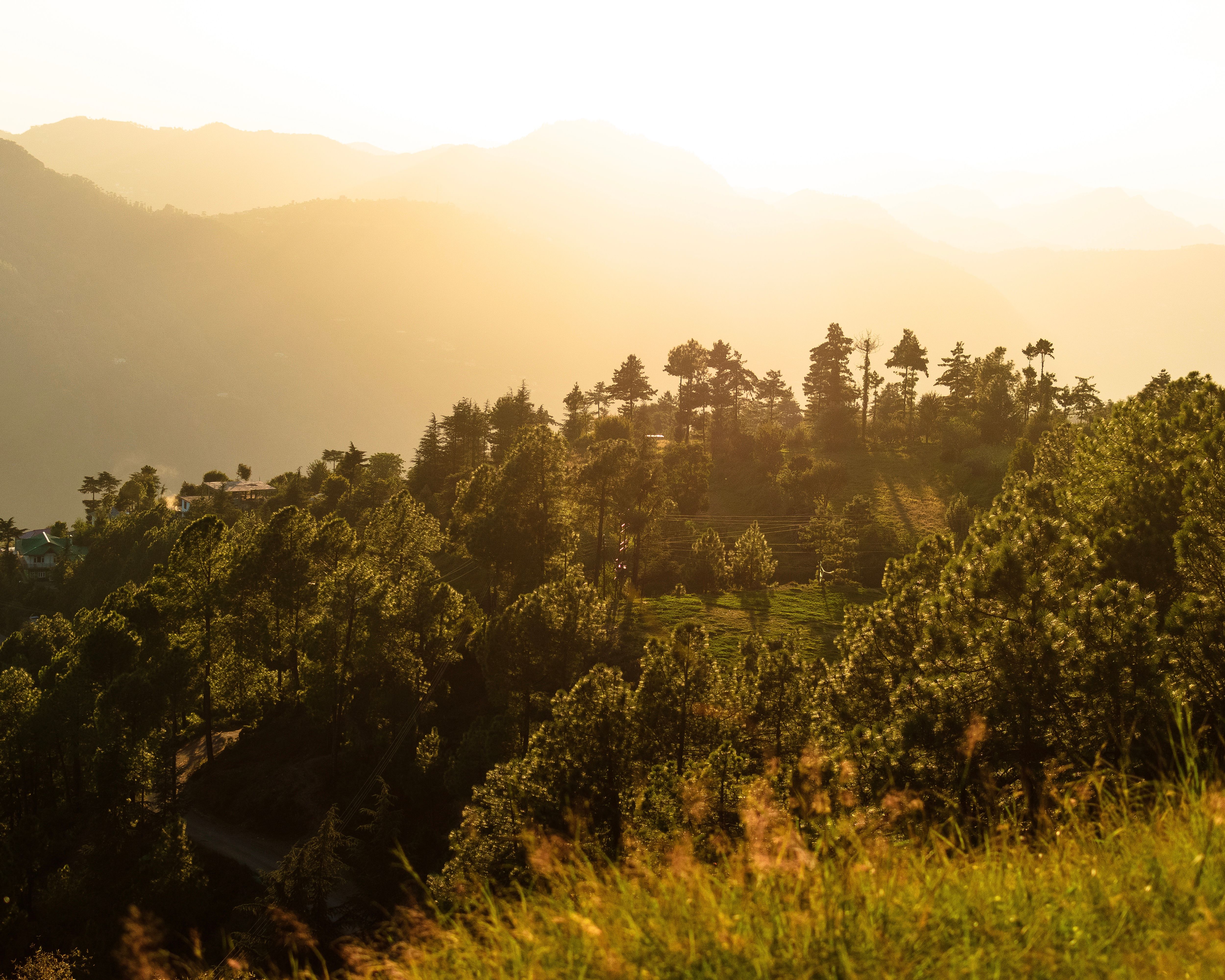 Forested Hilltop at Sunset · Free Stock Photo