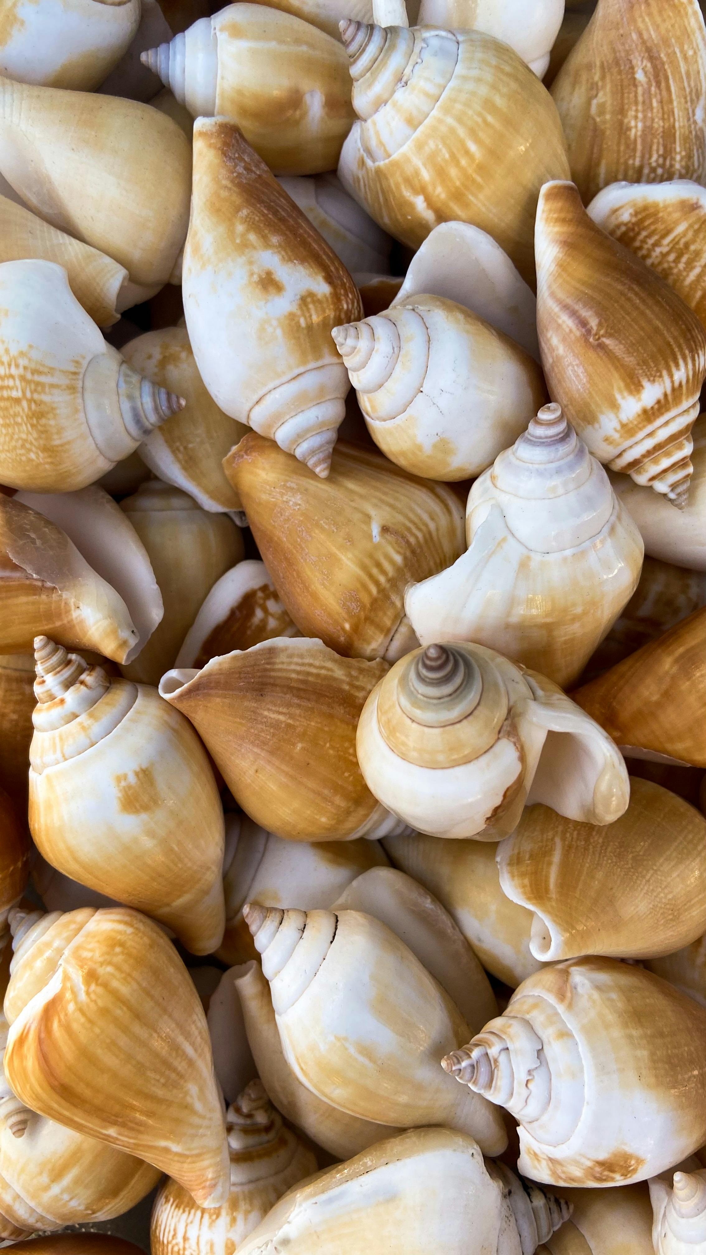 Elif Deniz Karabacak - 攝影