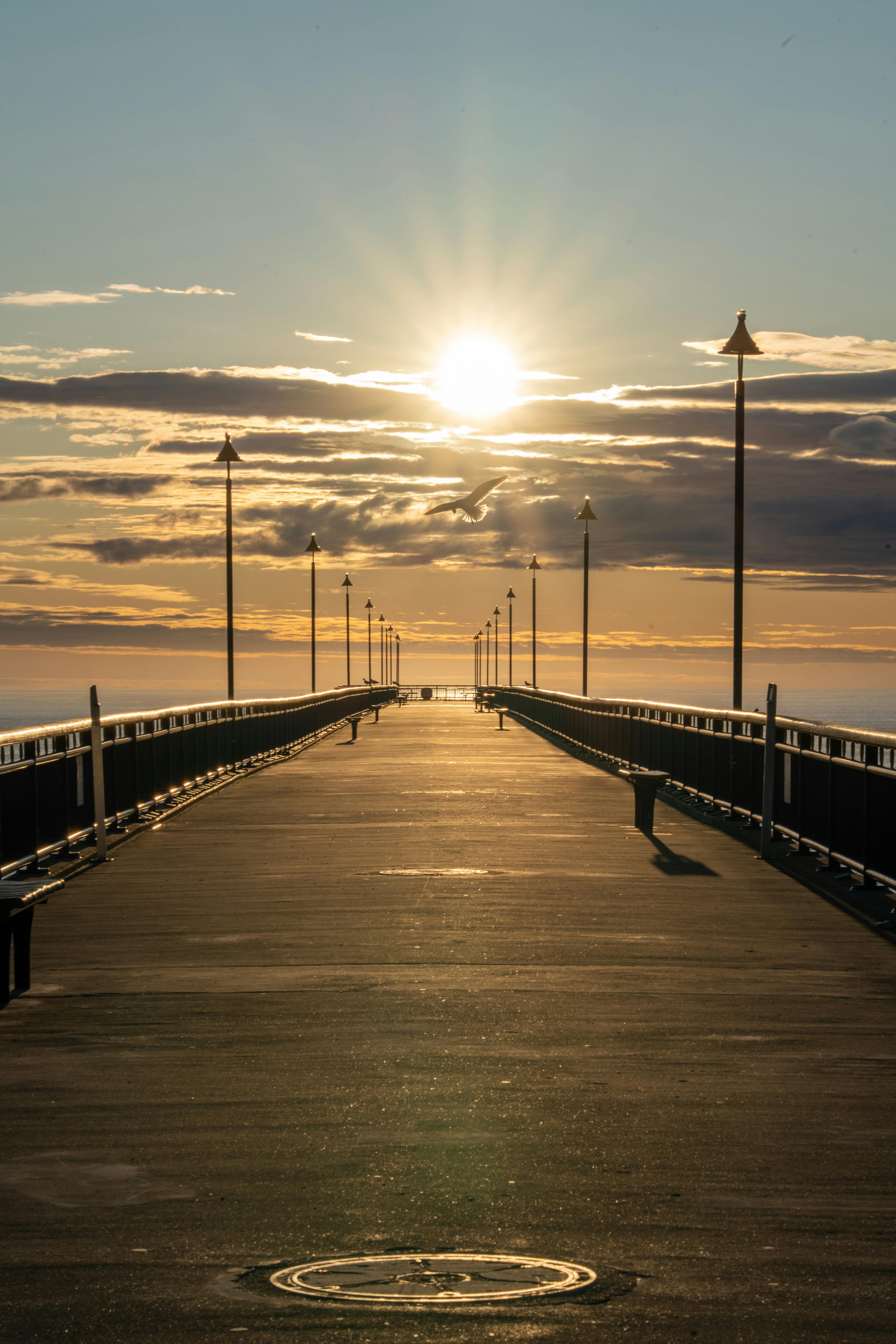 Sun Spotlight Photos, Download The BEST Free Sun Spotlight Stock Photos ...